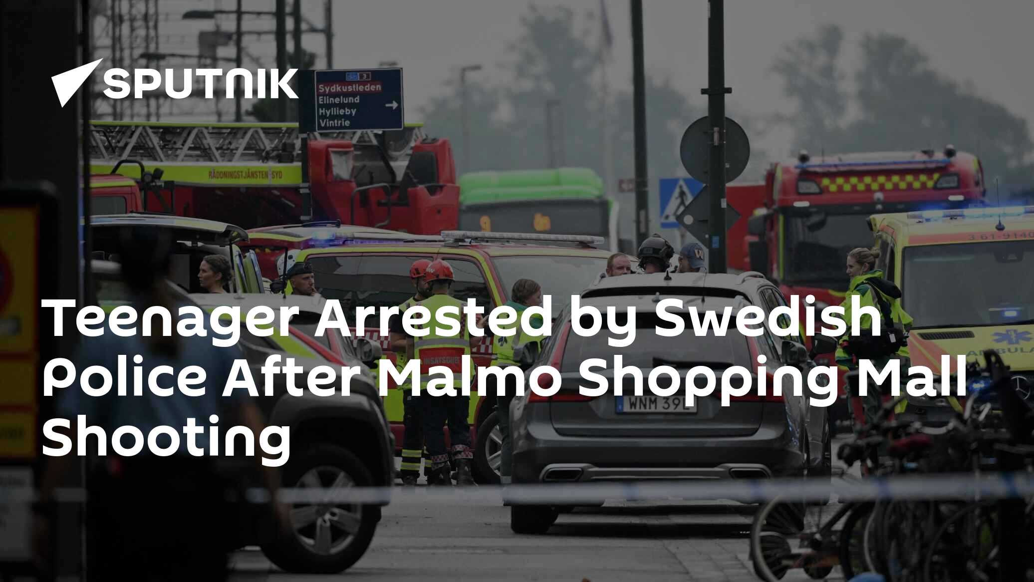 Teenager Arrested by Swedish Police After Malmo Shopping Mall Shooting ...