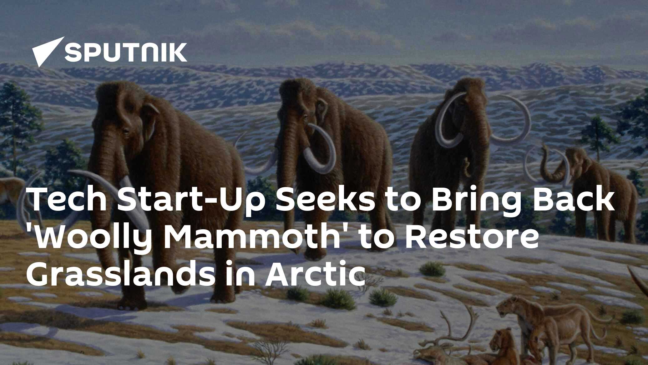 Tech Start-Up Seeks to Bring Back 'Woolly Mammoth' to Restore ...