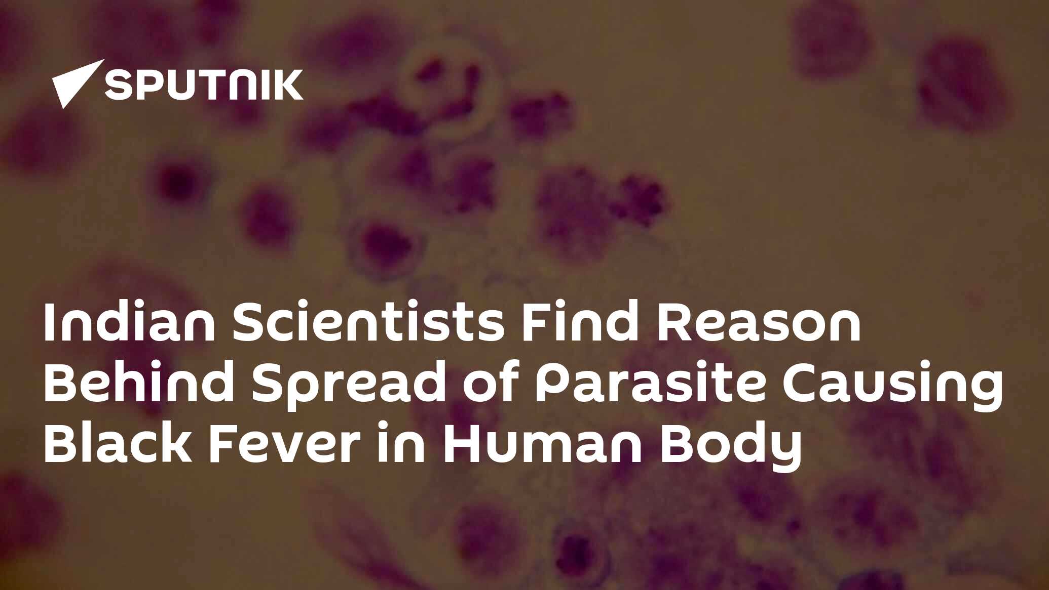 Indian Scientists Find Reason Behind Spread of Parasite Causing Black ...