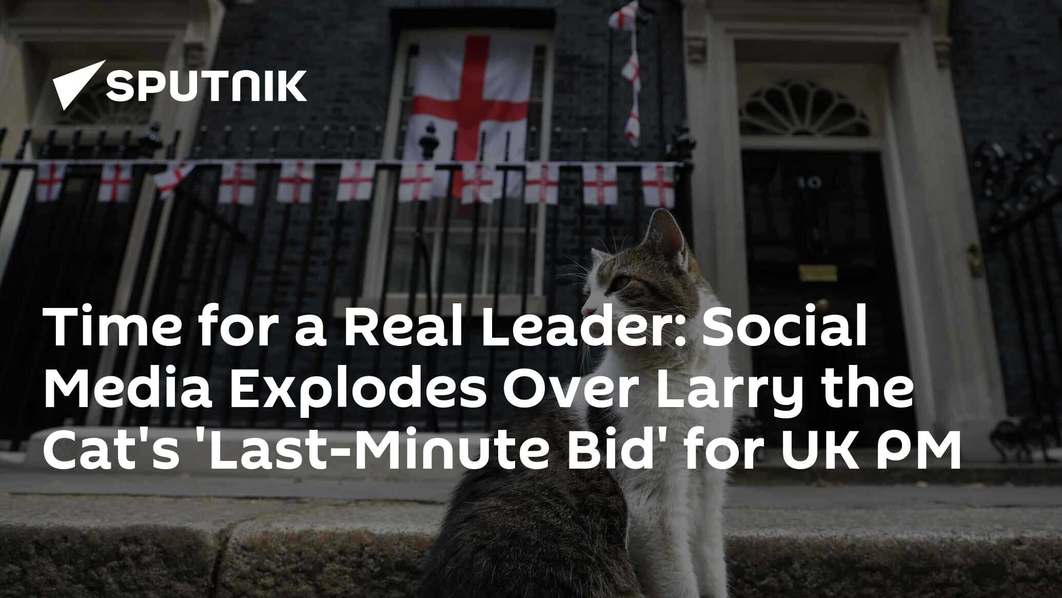 Time for a Real Leader: Social Media Explodes Over Larry the Cat's ...