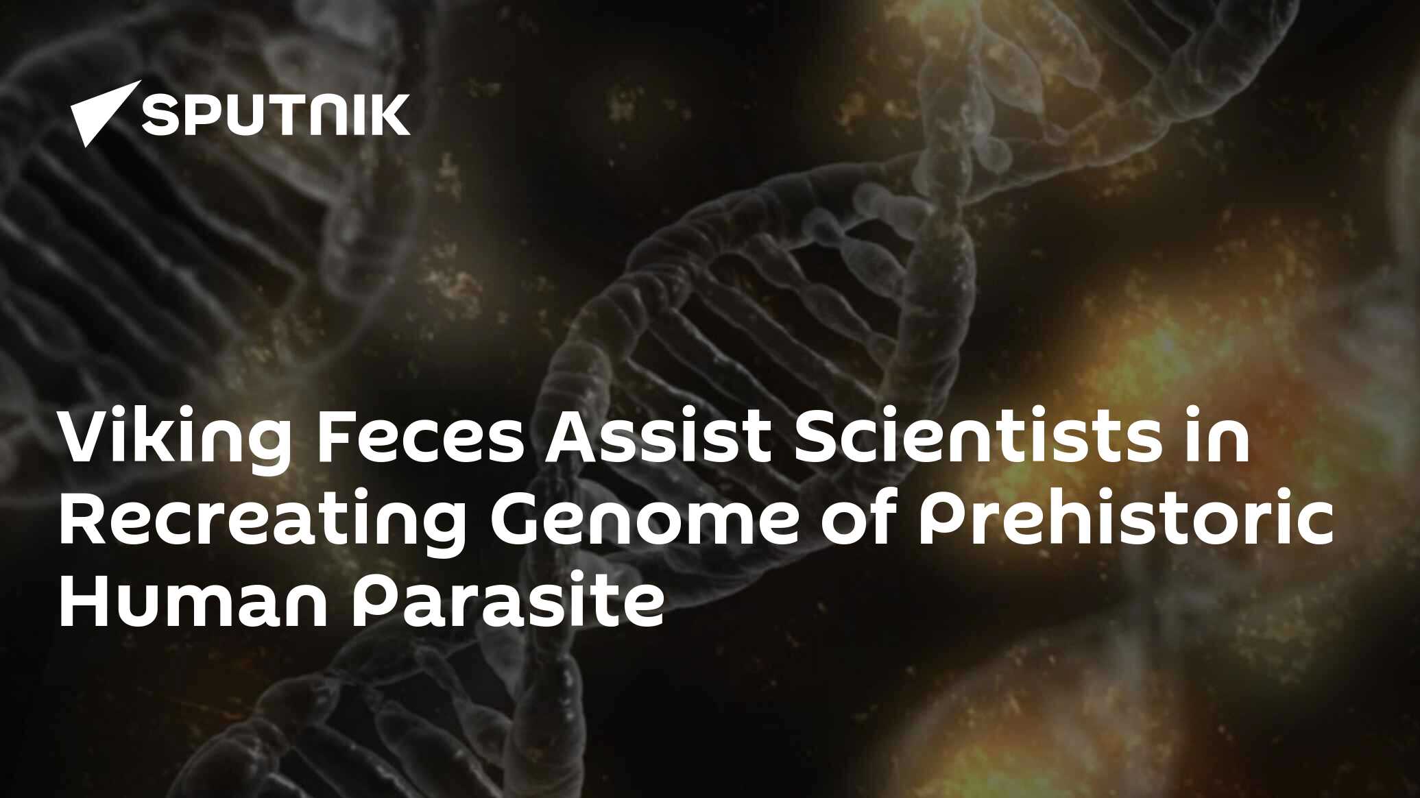 Viking Feces Assist Scientists in Recreating Genome of Prehistoric ...