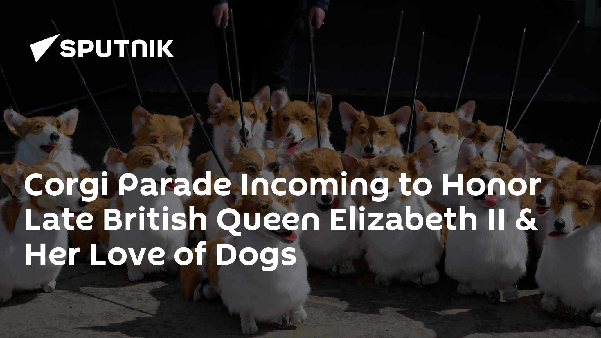 Corgi Parade Incoming to Honor Late British Queen Elizabeth II & Her ...