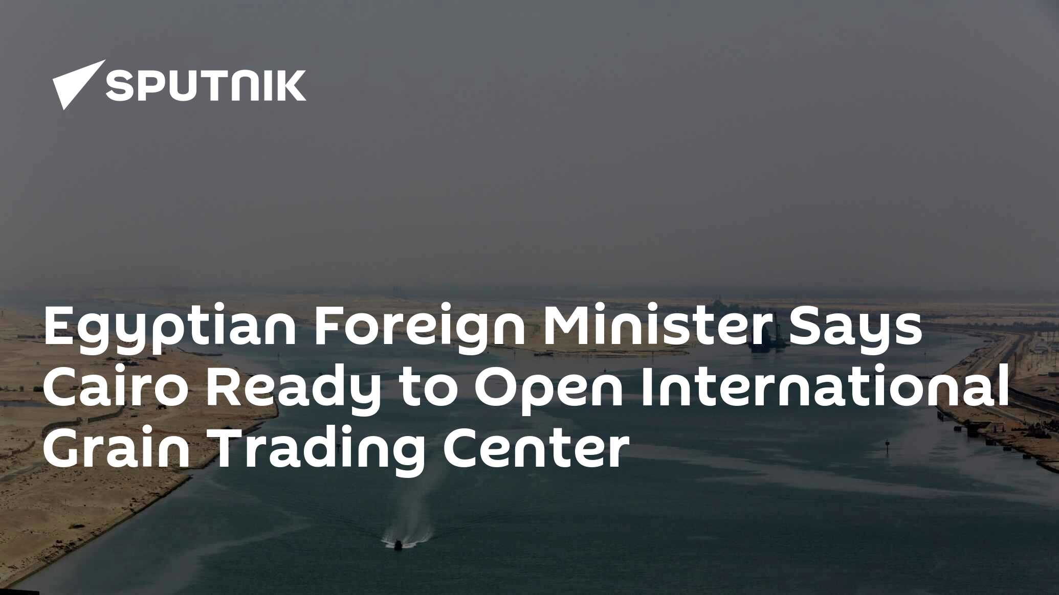 Egyptian Foreign Minister Says Cairo Ready to Open International Grain ...
