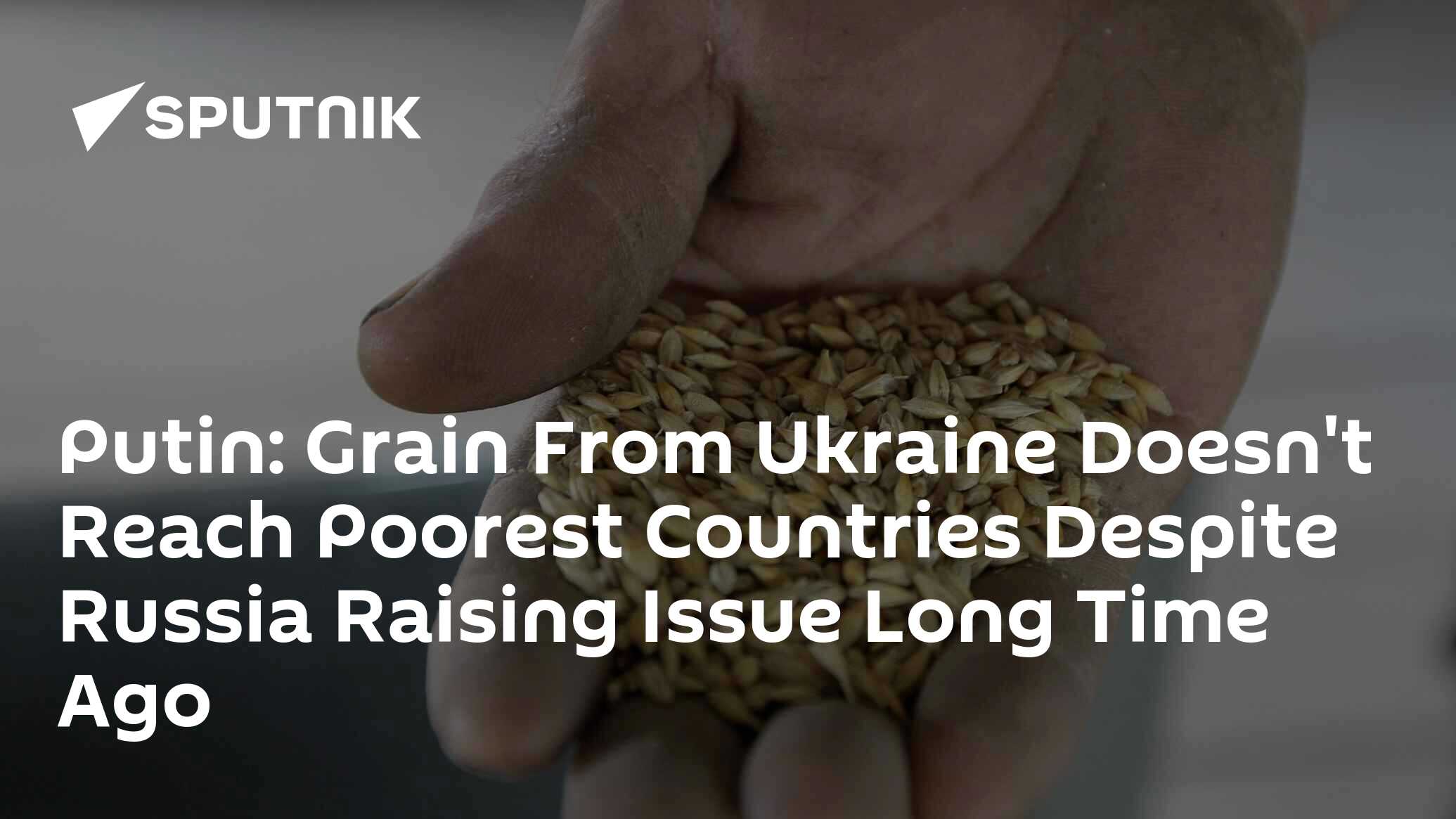 Putin: Grain From Ukraine Doesn't Reach Poorest Countries Despite ...