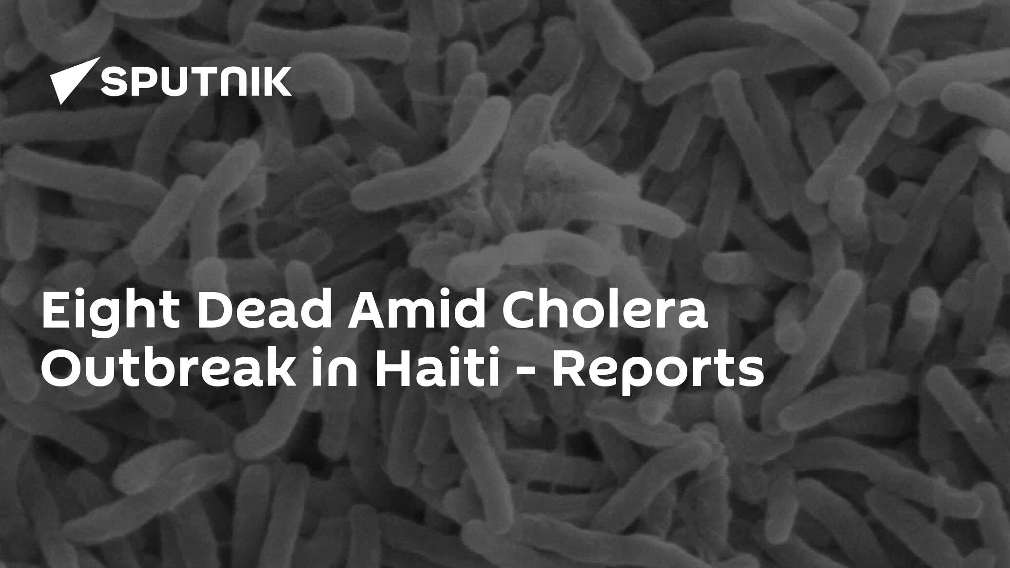 Eight Dead Amid Cholera Outbreak in Haiti - Reports - 03.10.2022 ...