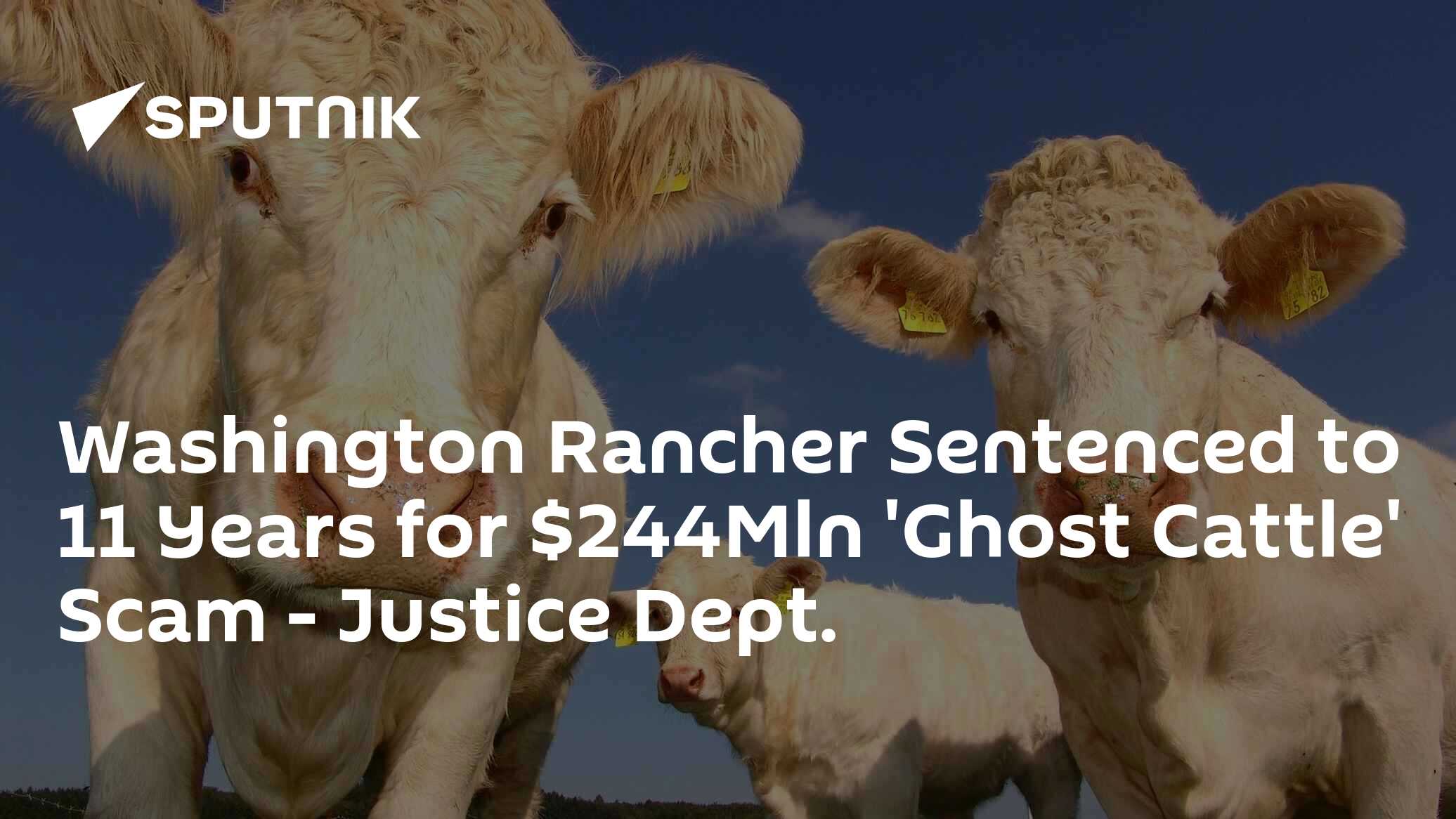 Washington Rancher Sentenced to 11 Years for $244Mln 'Ghost Cattle ...