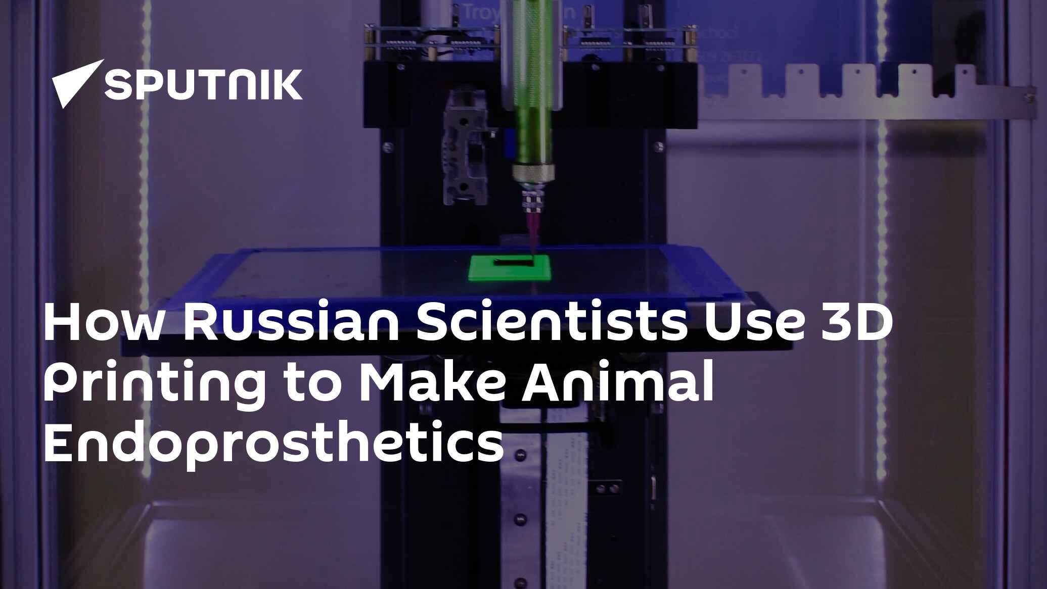 How Russian Scientists Use 3D Printing to Make Animal Endoprosthetics ...