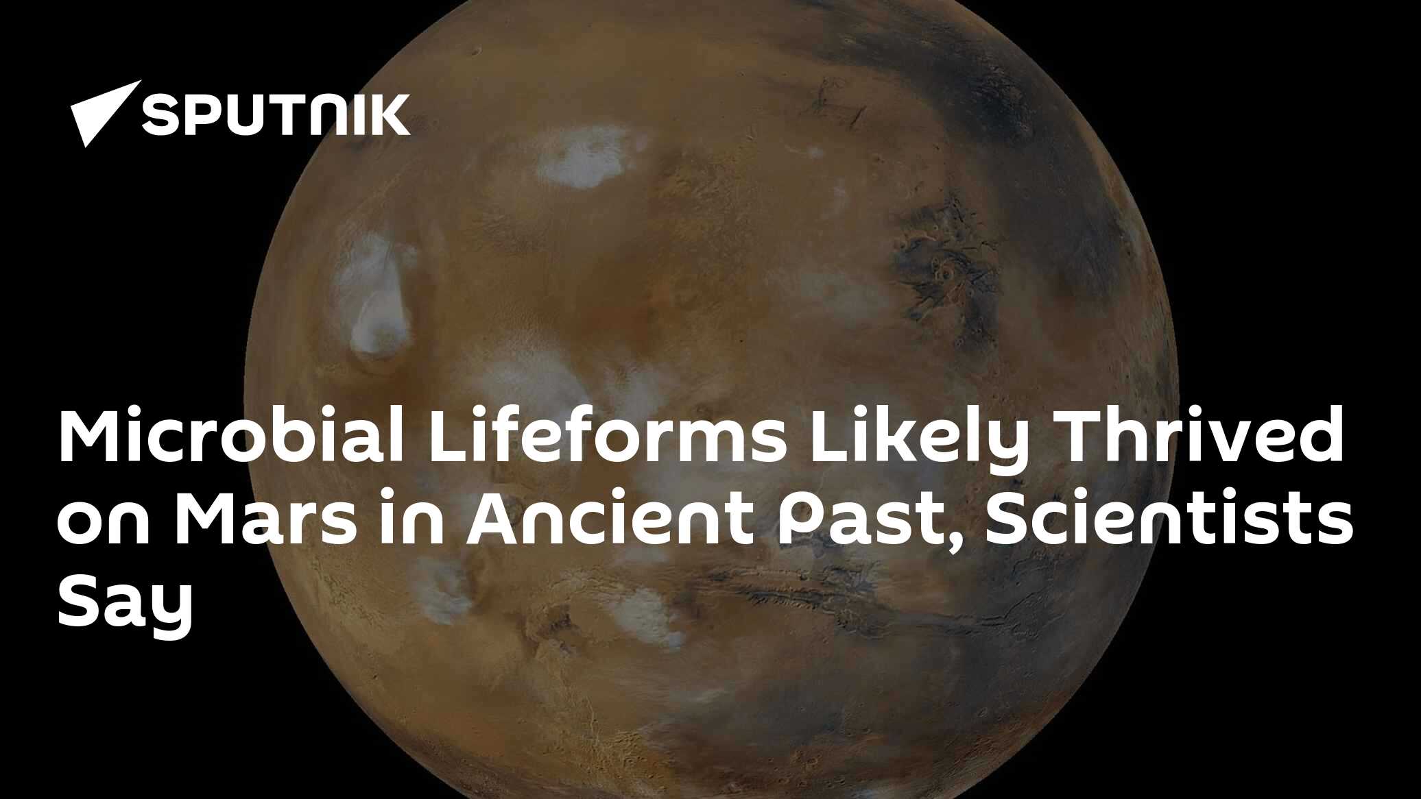 Microbial Lifeforms Likely Thrived on Mars in Ancient Past, Scientists ...