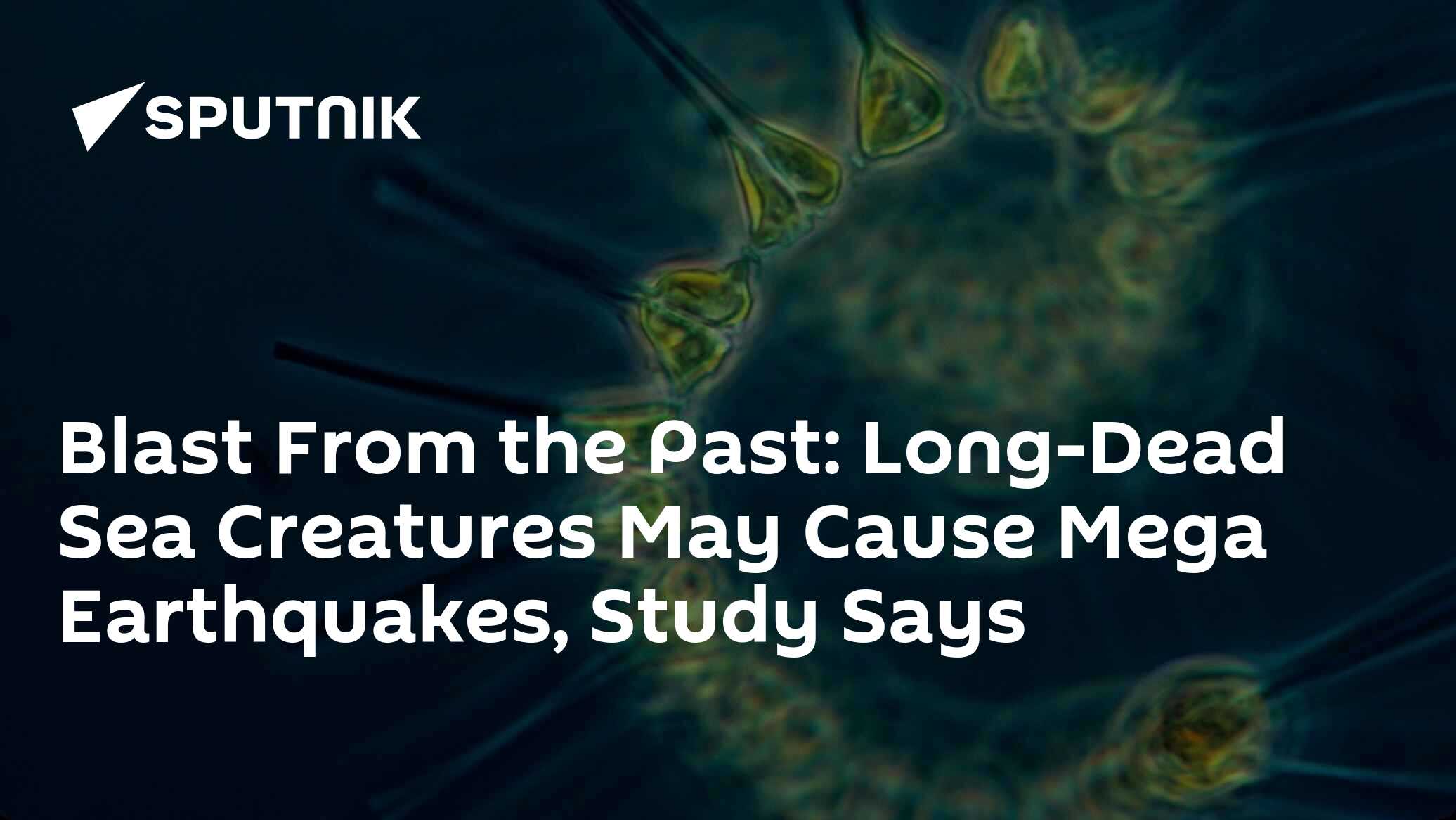 Blast From the Past: Long-Dead Sea Creatures May Cause Mega Earthquakes ...