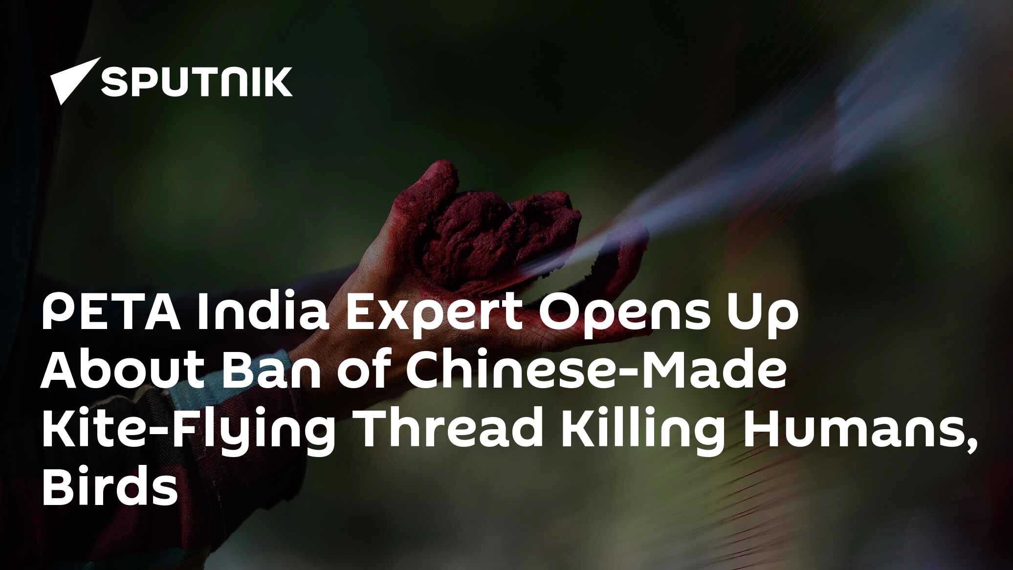 PETA India Expert Opens Up About Ban of Chinese-Made Kite-Flying Thread ...