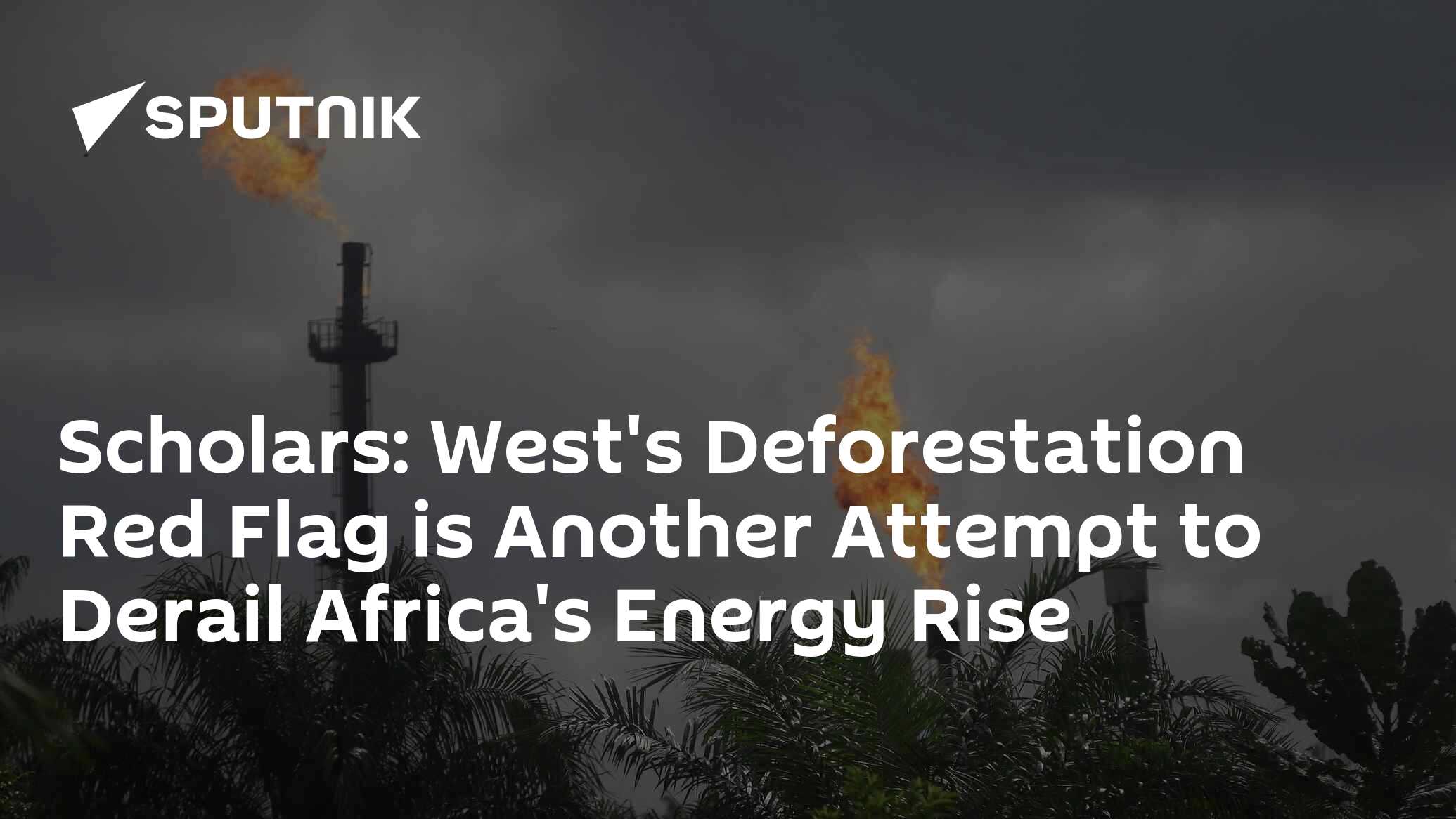 Scholars: West's Deforestation Red Flag is Another Attempt to Derail ...