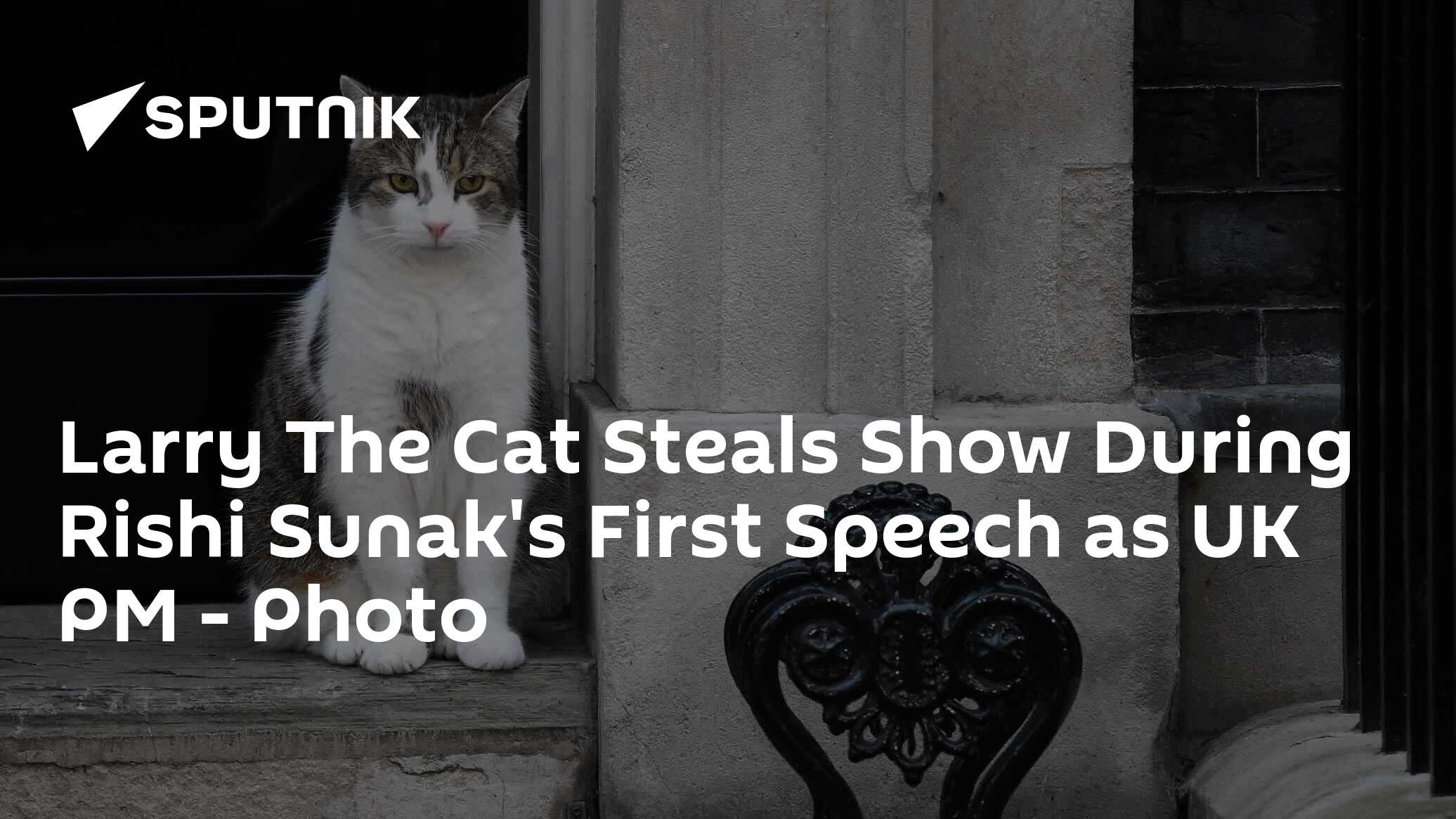 Larry The Cat Steals Show During Rishi Sunak's First Speech as UK PM ...