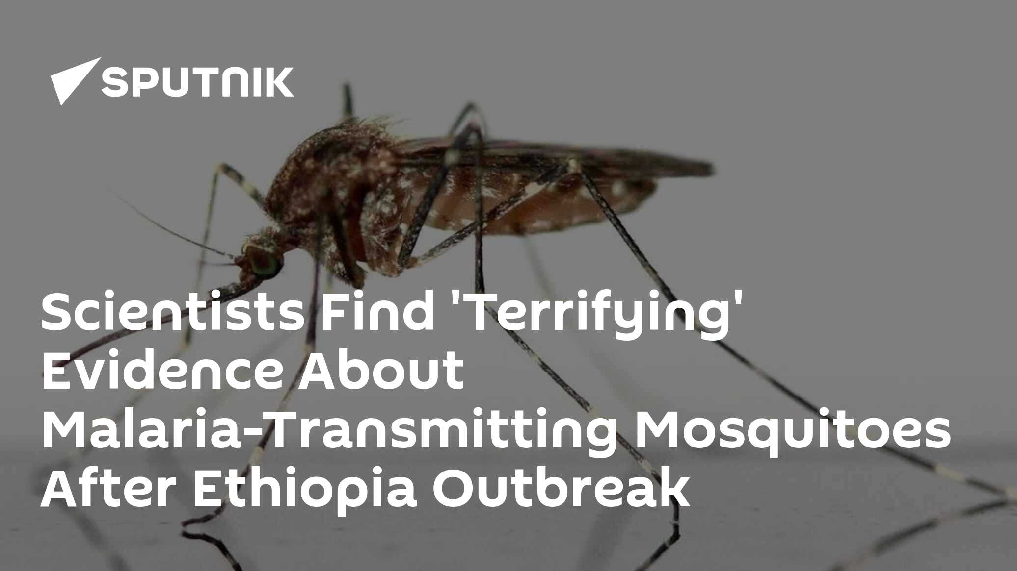 Scientists Find 'Terrifying' Evidence About Malaria-Transmitting ...