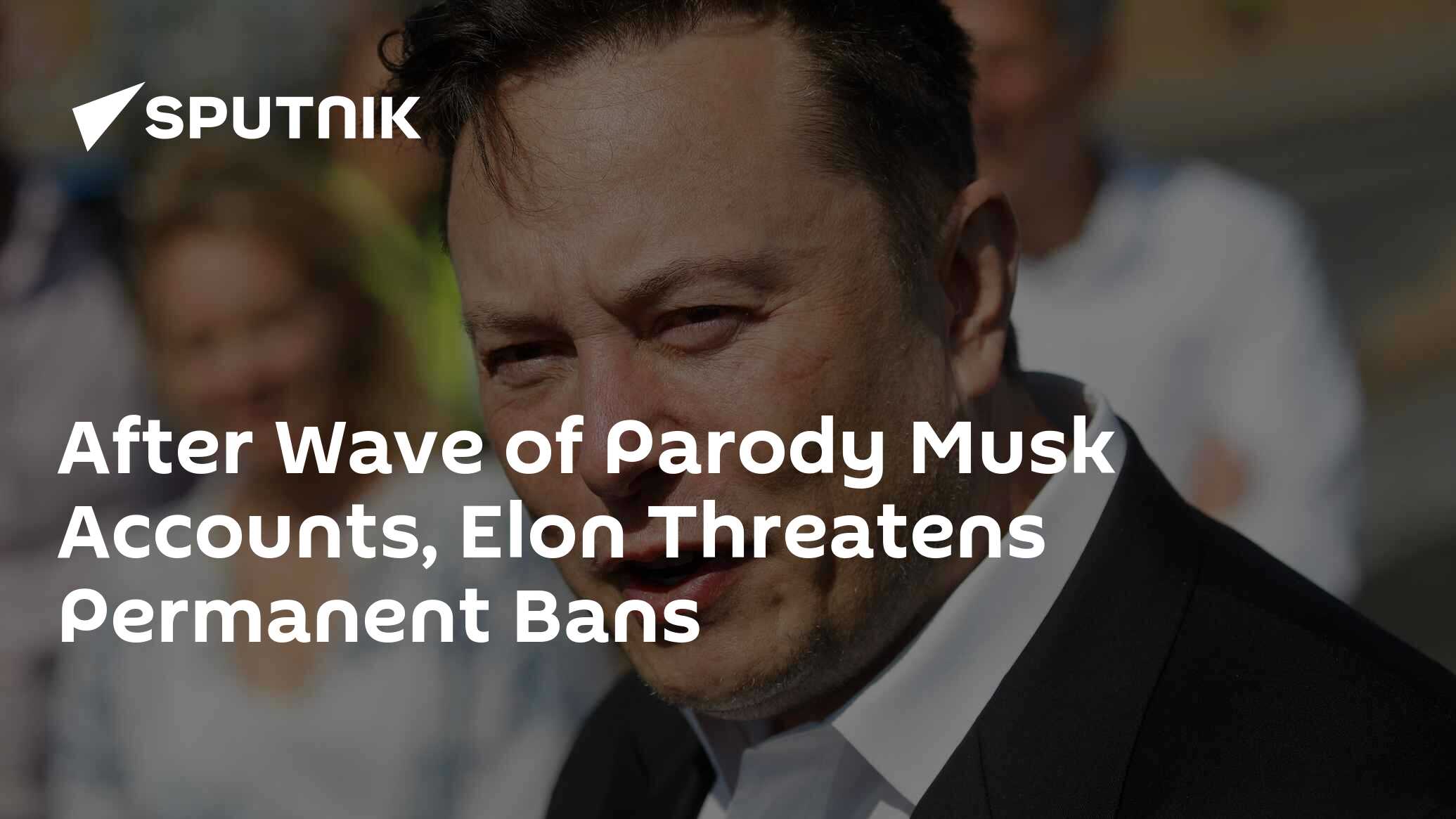 After Wave of Parody Musk Accounts, Elon Threatens Permanent Bans - 07. ...