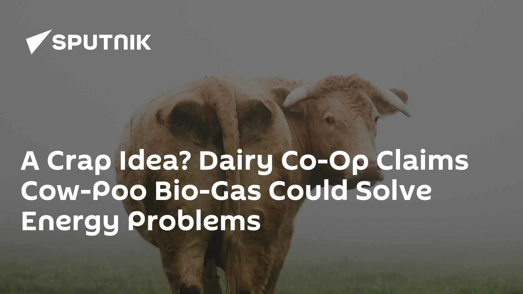 A Crap Idea? Dairy Co-Op Claims Cow-Poo Bio-Gas Could Solve Energy ...