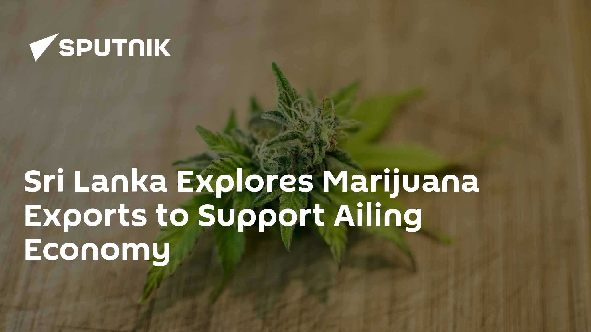 Sri Lanka Explores Marijuana Exports to Support Ailing Economy - 14.11. ...