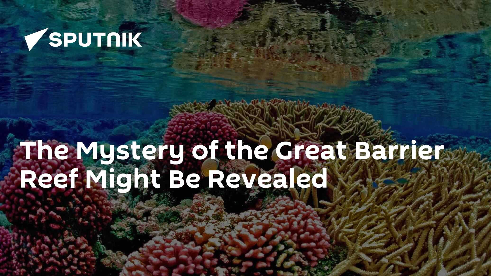 The Mystery of the Great Barrier Reef Might Be Revealed - 15.11.2022 ...