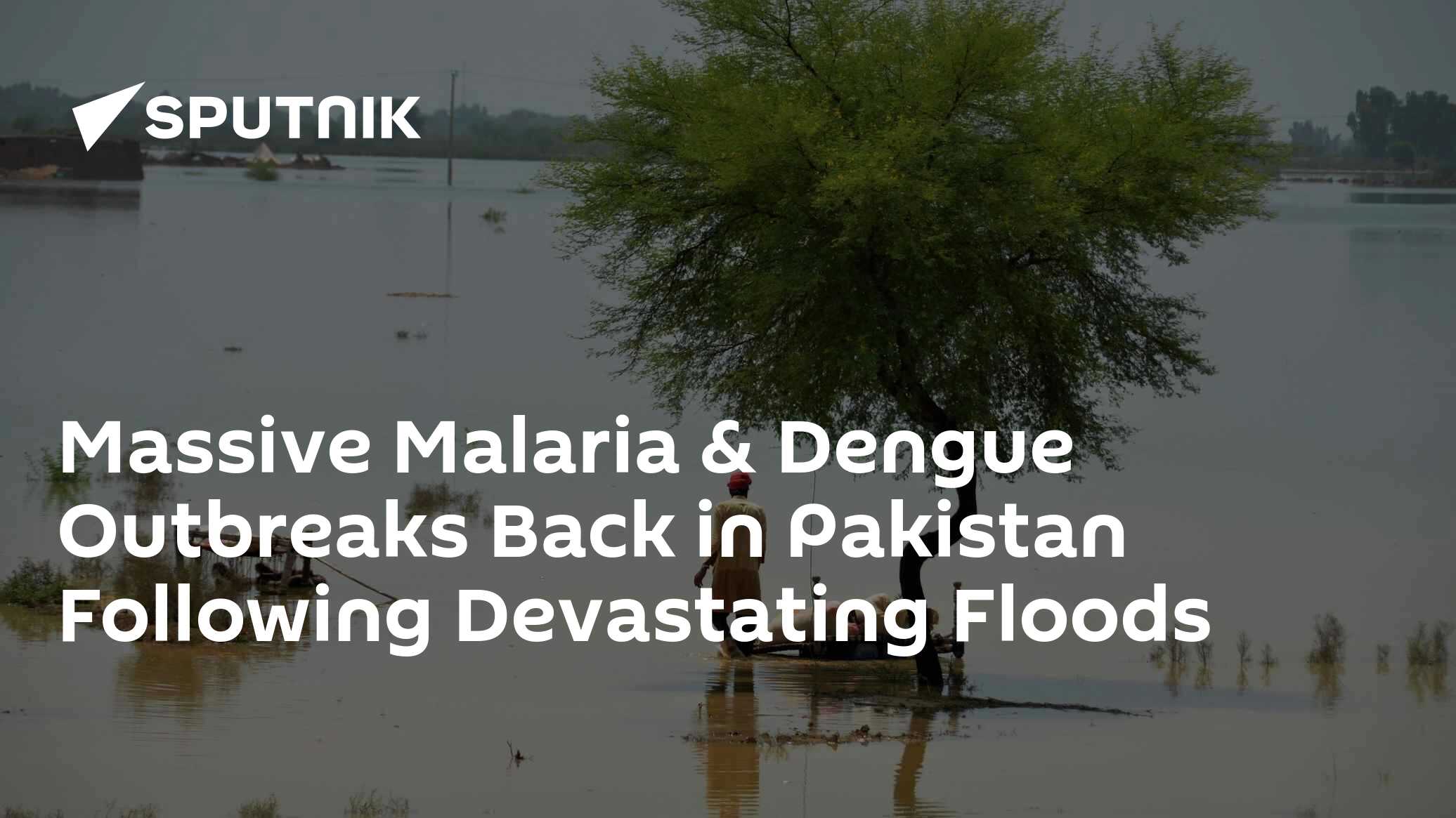 Massive Malaria & Dengue Outbreaks Back in Pakistan Following ...