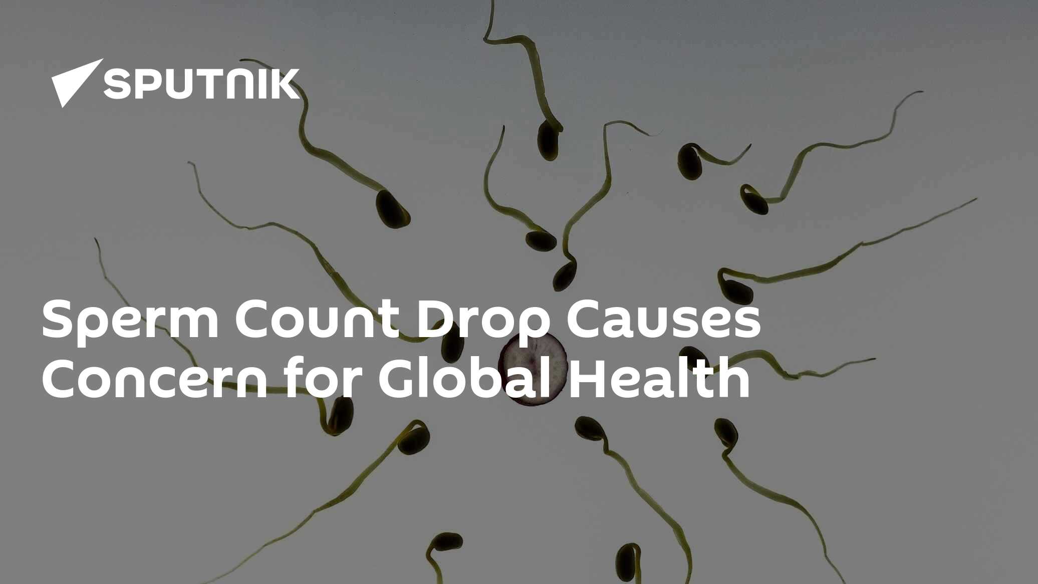 Sperm Count Drop Causes Concern for Global Health - 16.11.2022, Sputnik ...