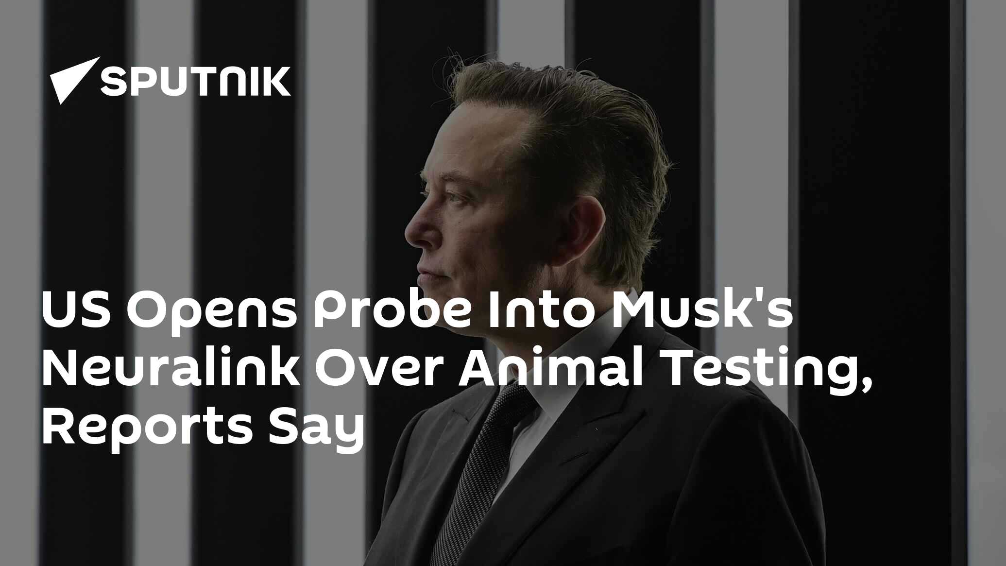 US Opens Probe Into Musk's Neuralink Over Animal Testing, Reports Say ...