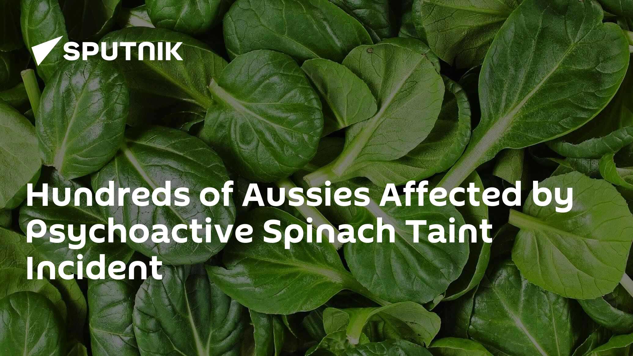 Hundreds of Aussies Affected by Psychoactive Spinach Taint Incident ...