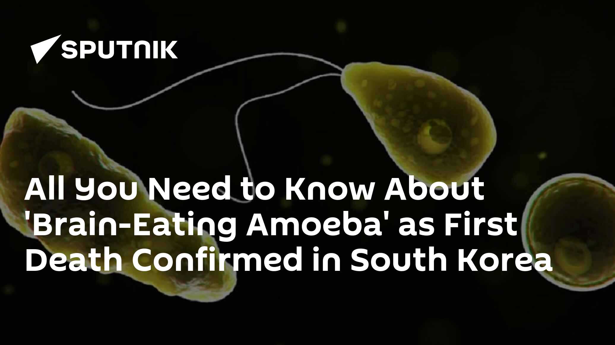 All You Need to Know About 'Brain-Eating Amoeba'