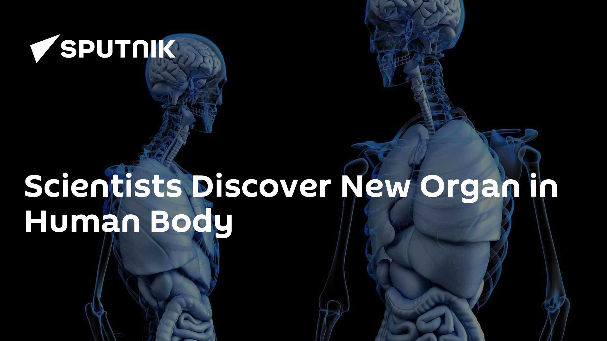 Scientists Discover New Organ in Human Body