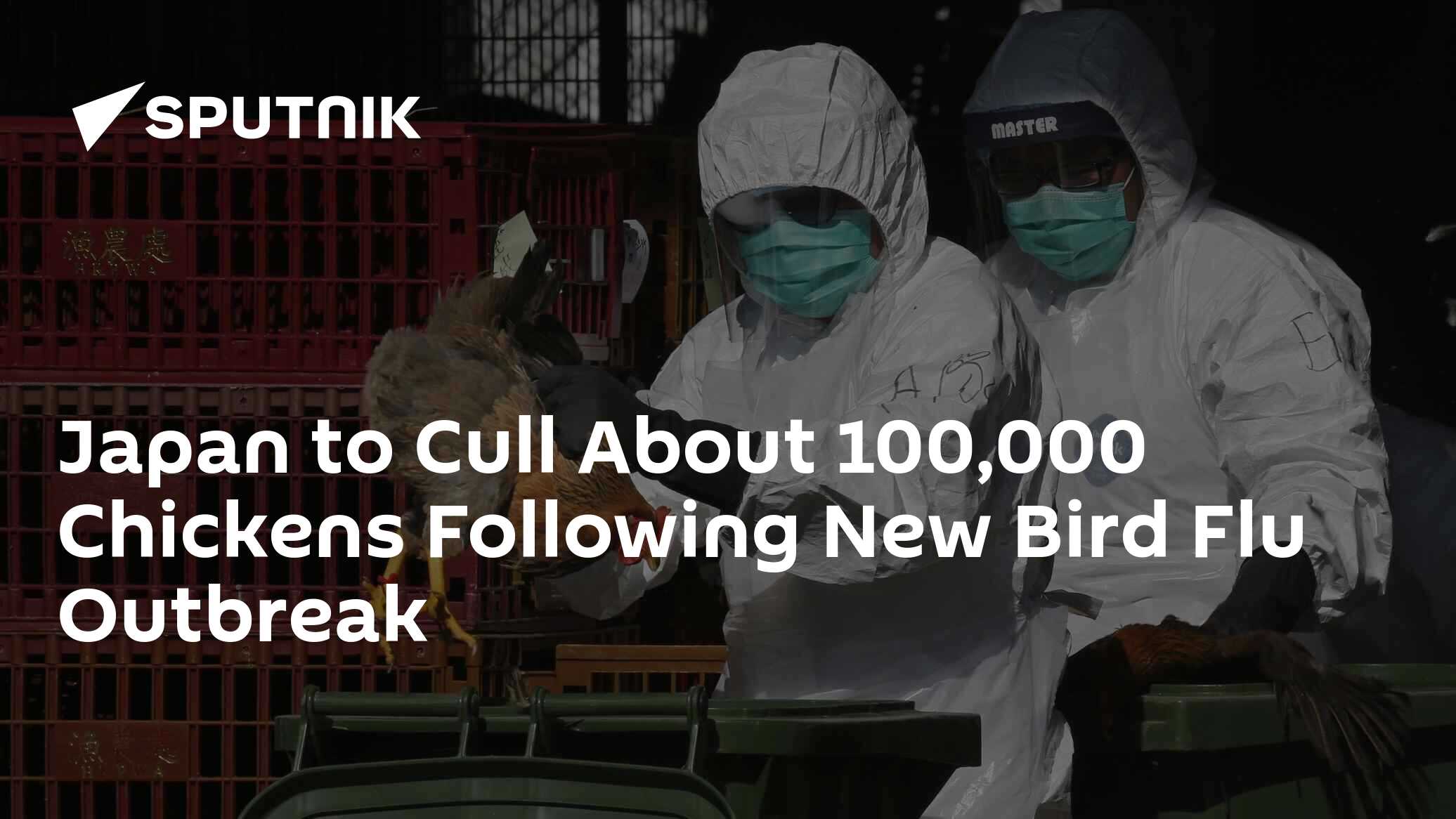 Japan to Cull About 100,000 Chickens Following New Bird Flu Outbreak