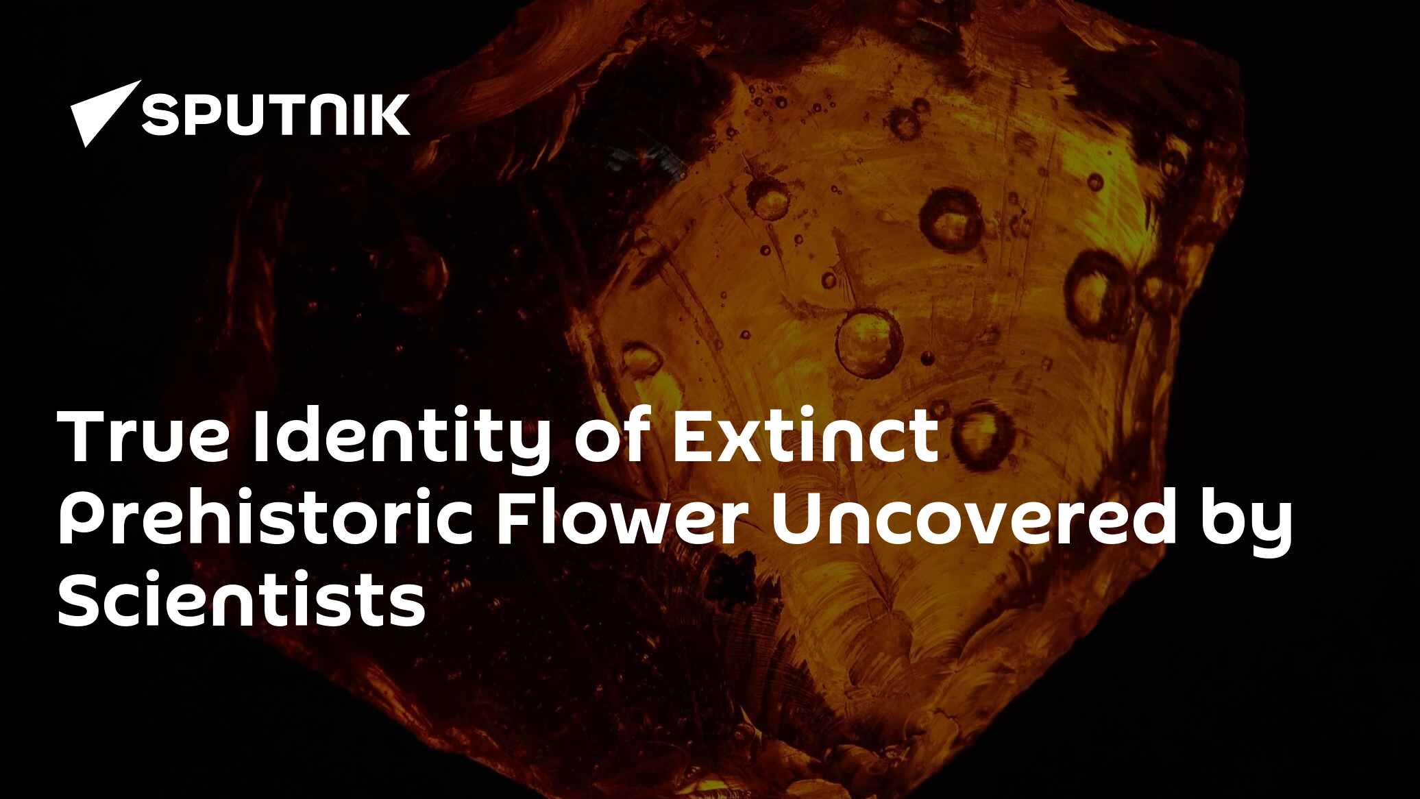 True Identity of Extinct Prehistoric Flower Uncovered by Scientists ...