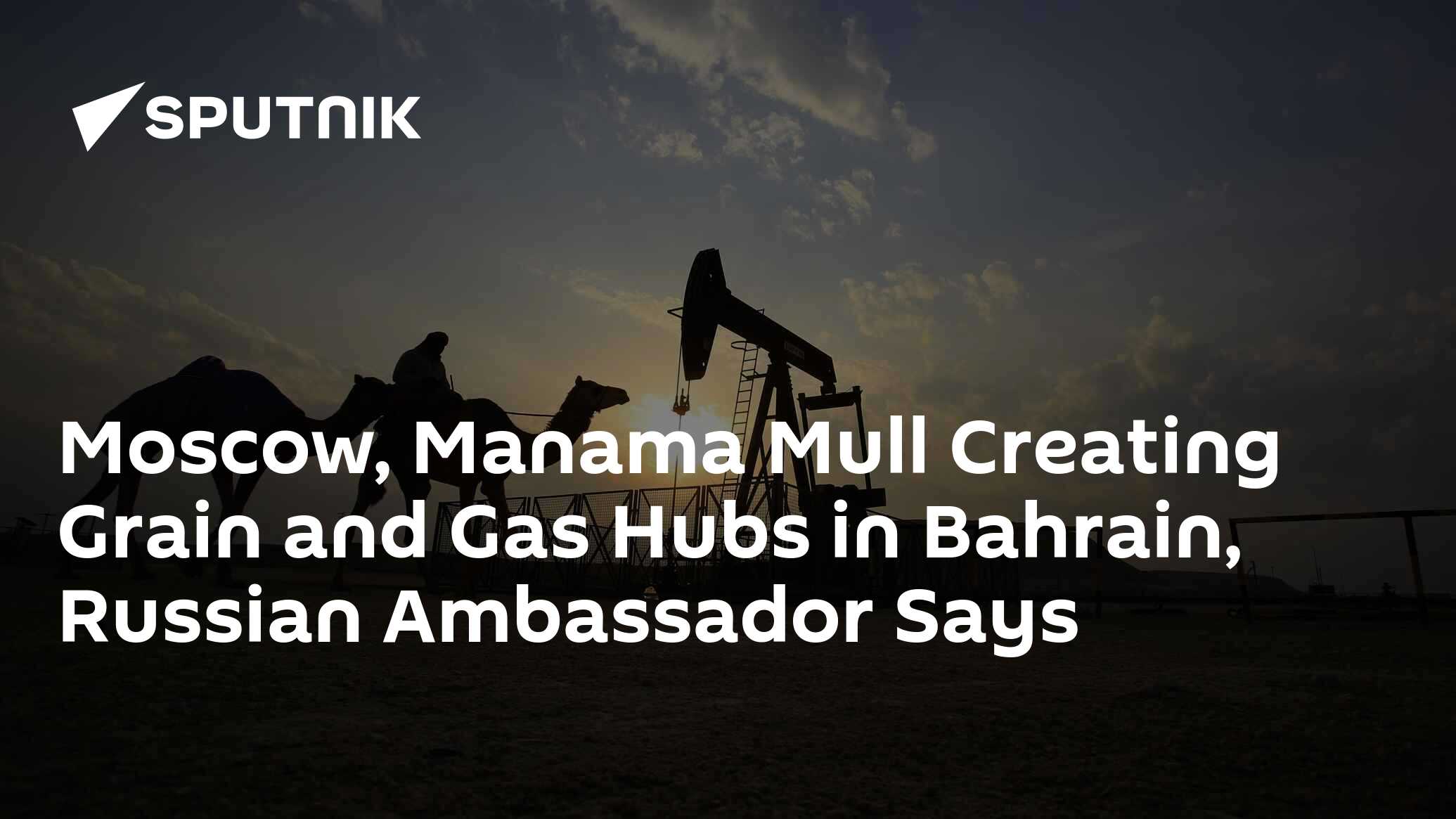 Moscow, Manama Mull Creating Grain and Gas Hubs in Bahrain, Russian ...