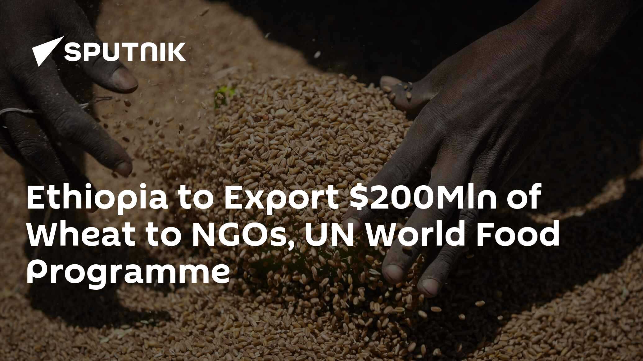 Ethiopia to Sign Wheat Export Deals Worth $200 Mln, Media Report