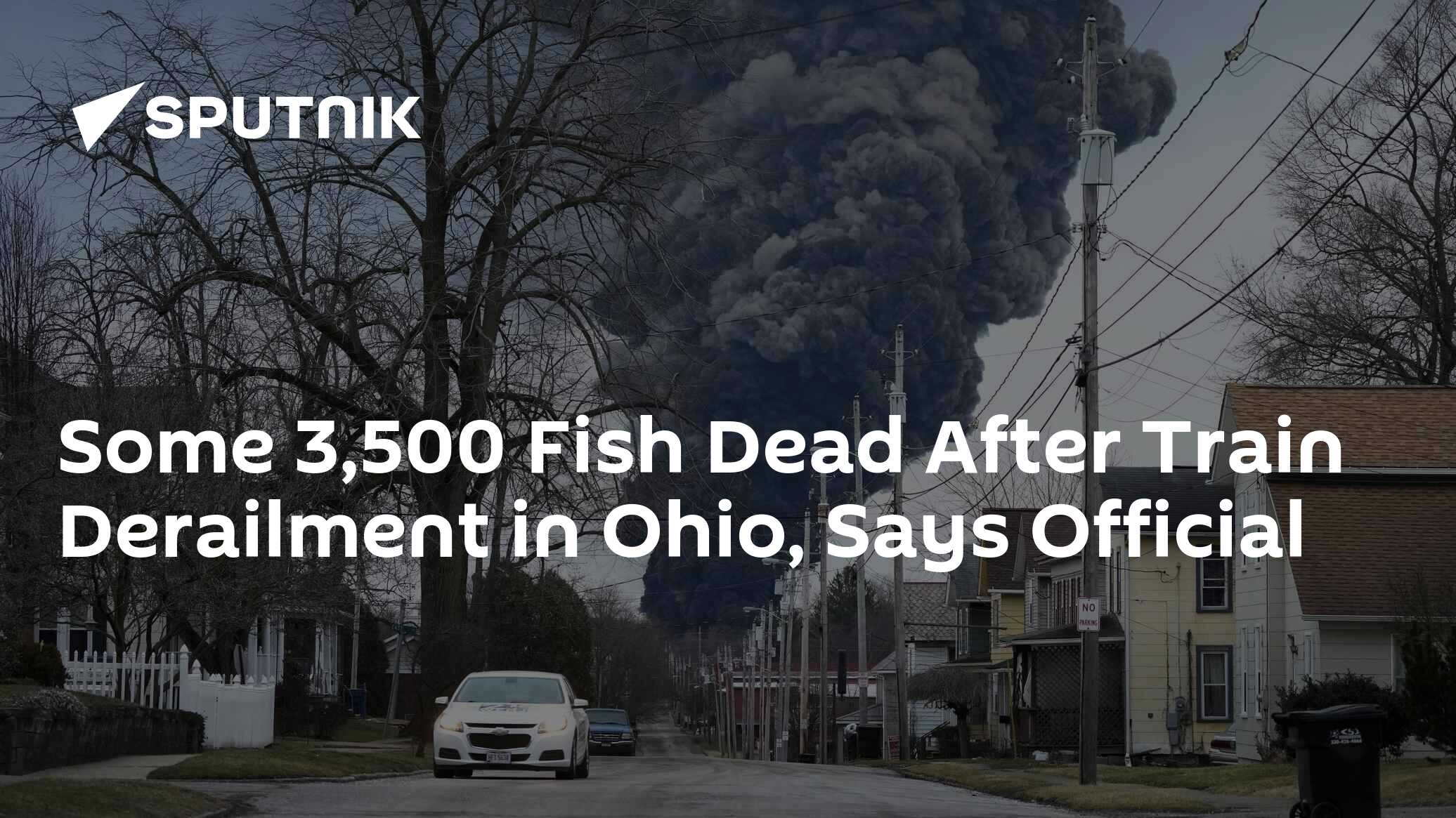 Some 3,500 Fish Dead After Train Derailment in Ohio