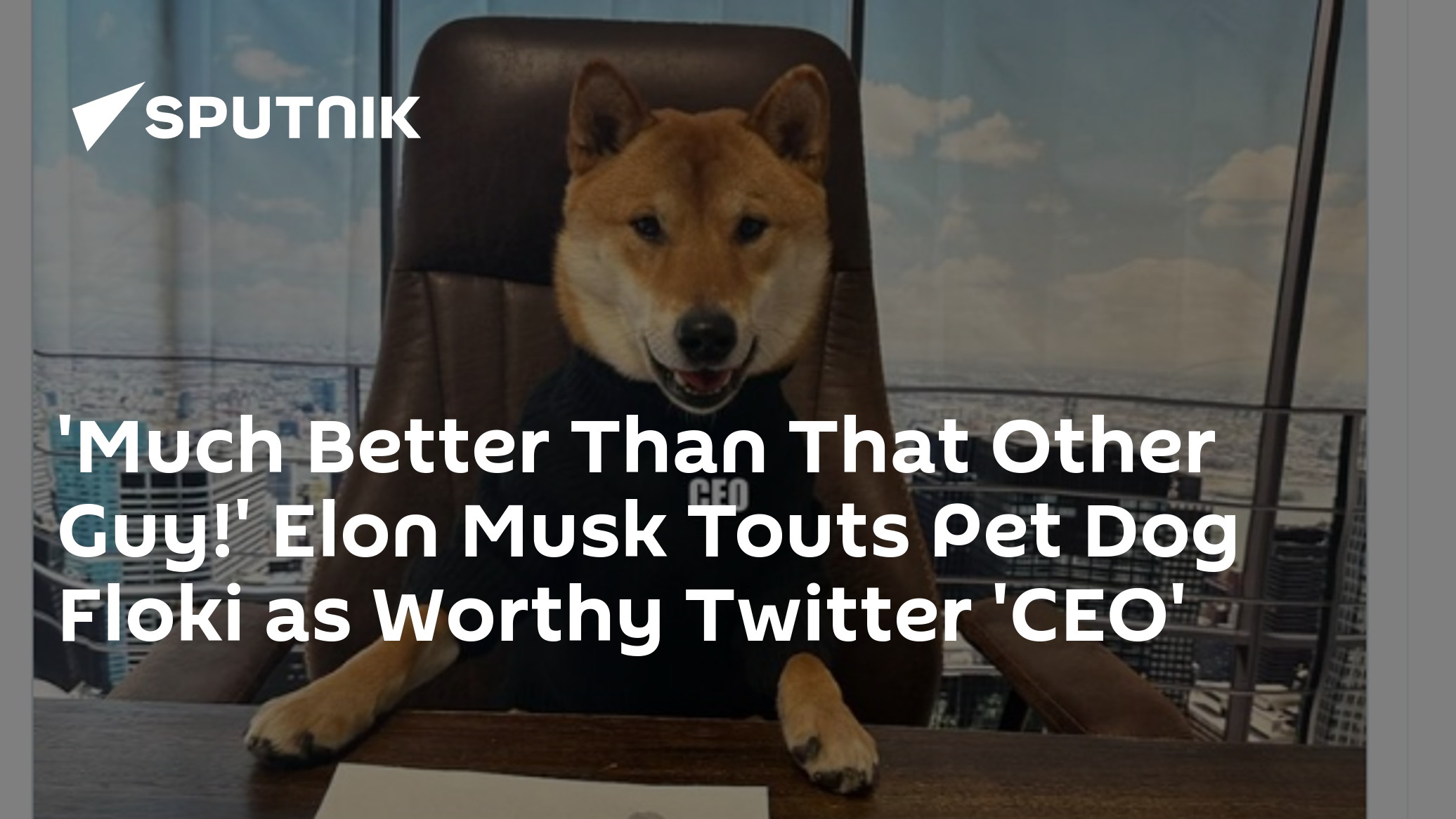 Elon Musk Touts Pet Dog Floki as Worthy Twitter 'CEO'