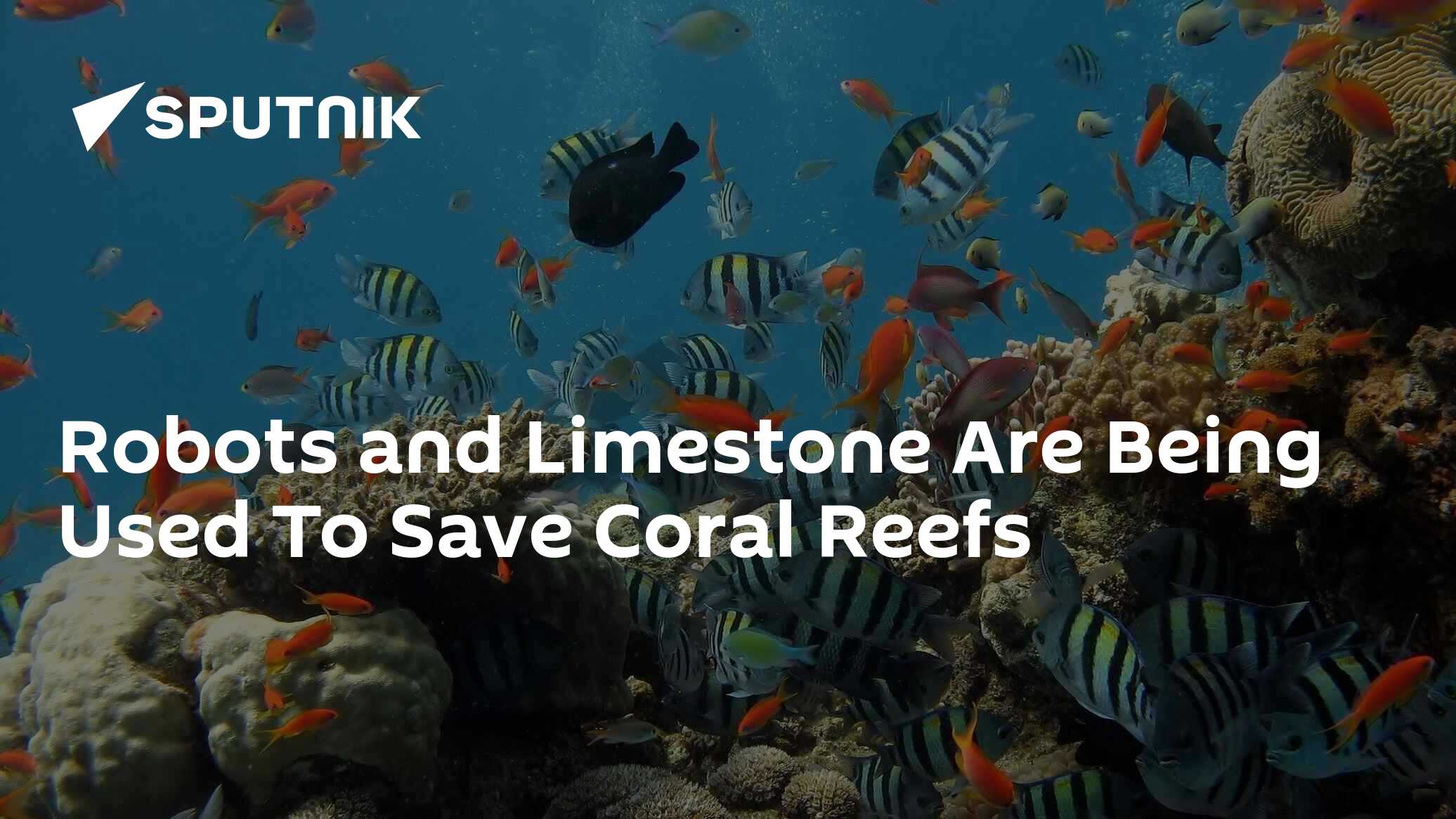 Machinery&Nature Works Together, Robots Helps Restoring Coral Reefs