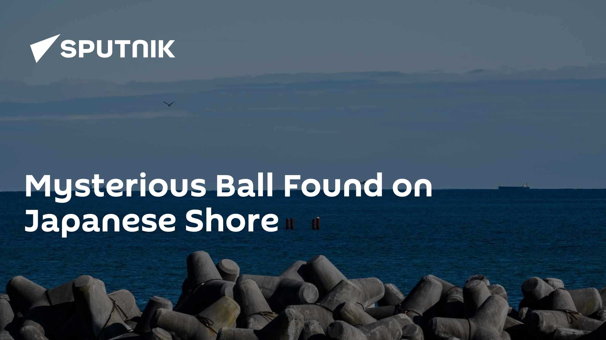 Mysterious Ball Found on Japanese Shore