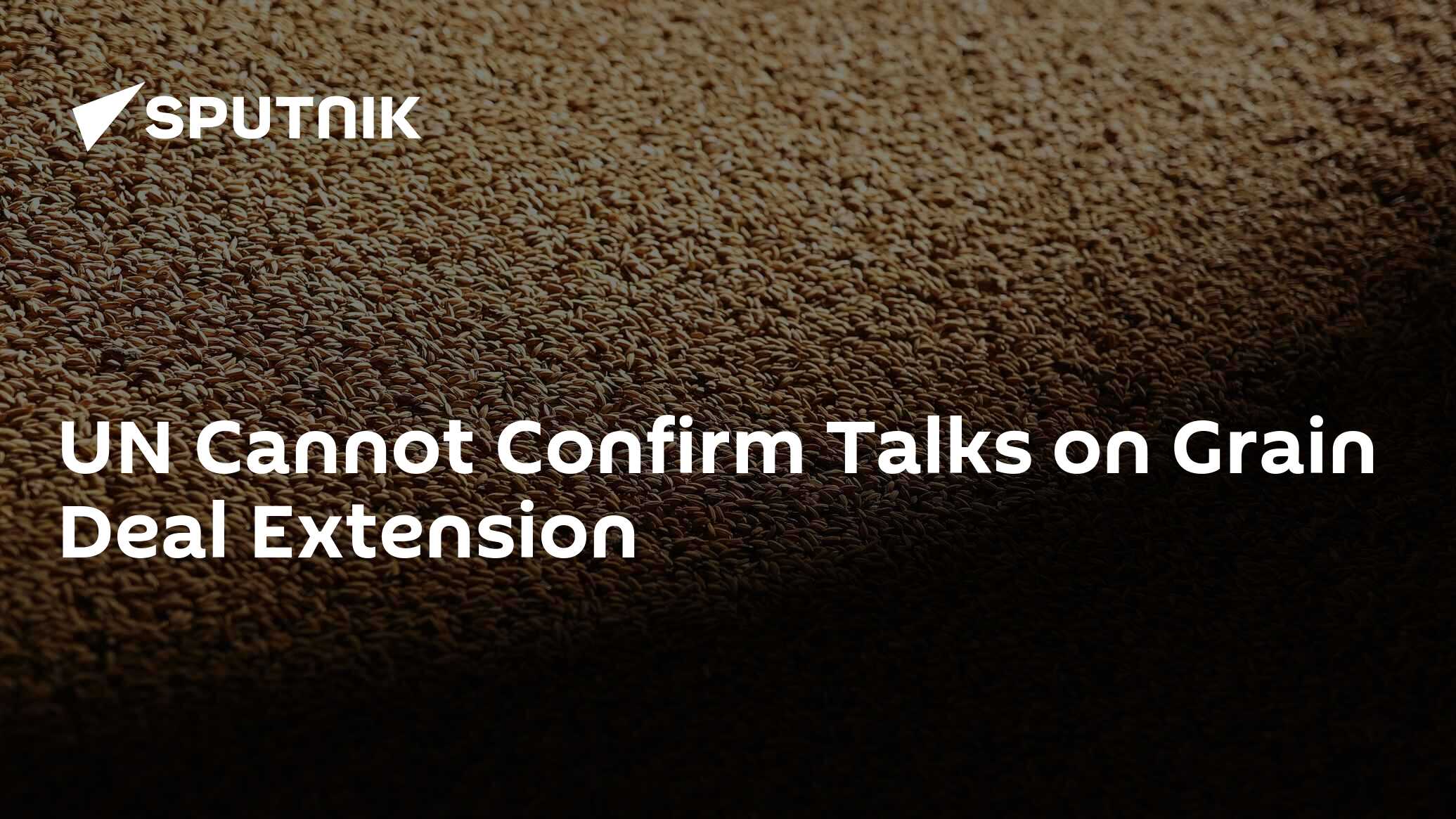 UN Cannot Confirm Talks on Grain Deal Extension