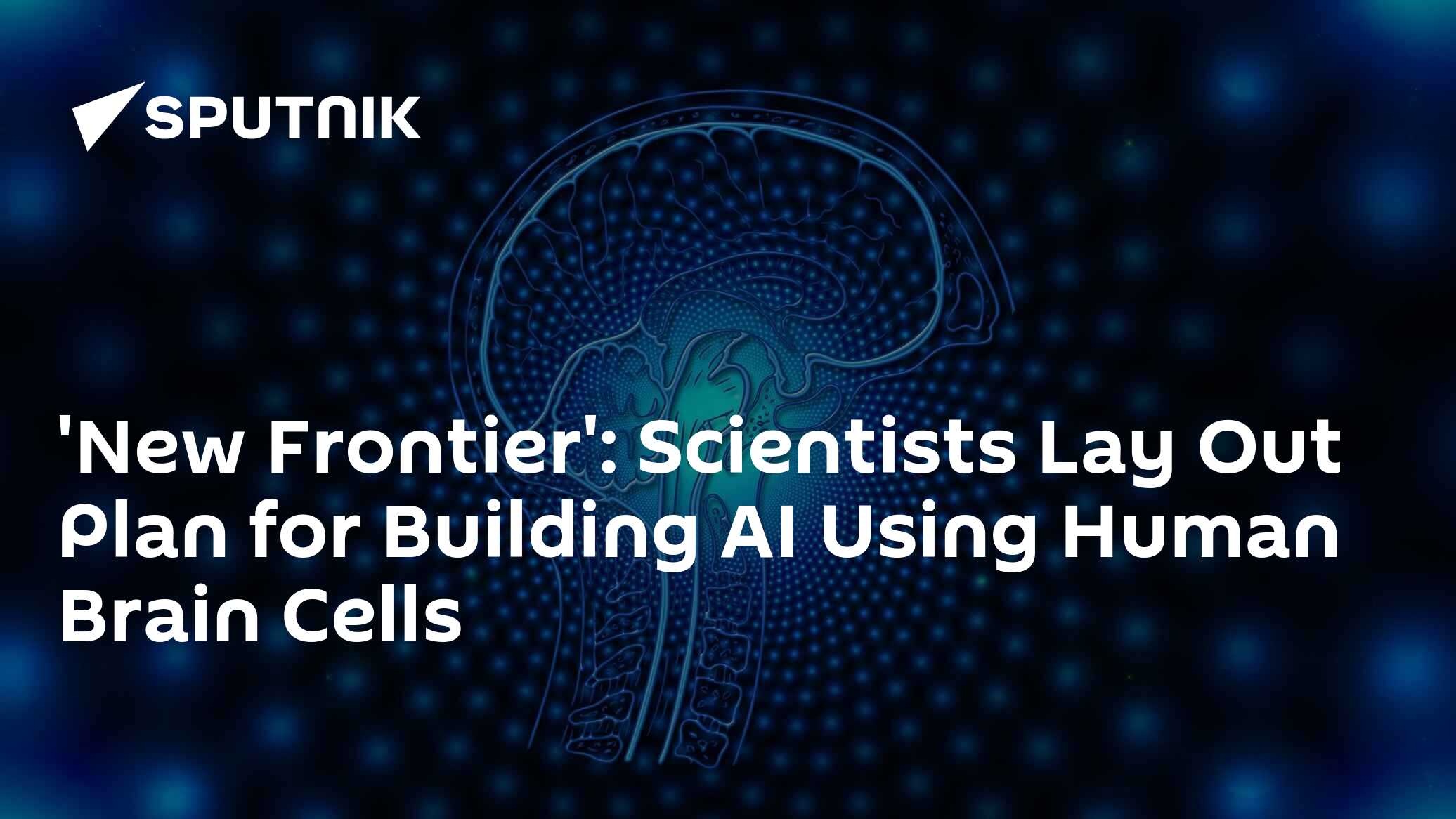 Scientists Lay Out Plan for Building AI Using Human Brain Cells
