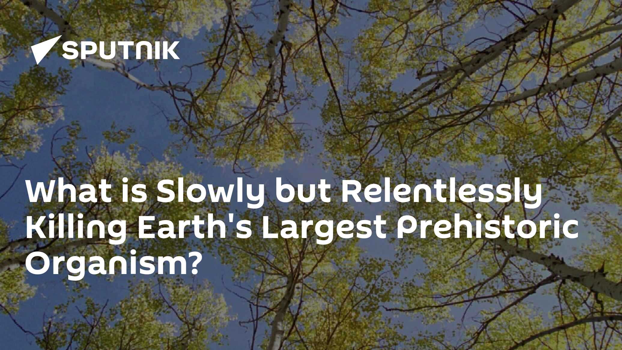 What Is Slowly But Relentlessly Killing Earth's Largest Prehistoric ...