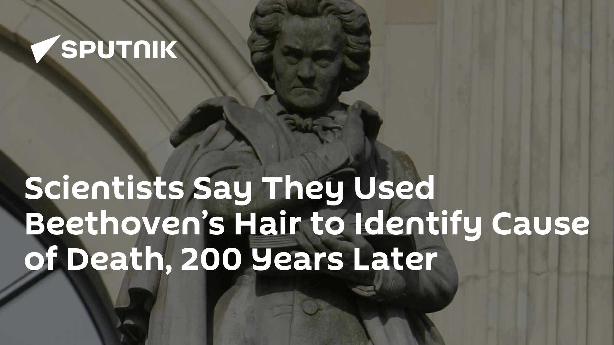 Scientists Say They Used Beethoven’s Hair to Identify Cause of Death ...