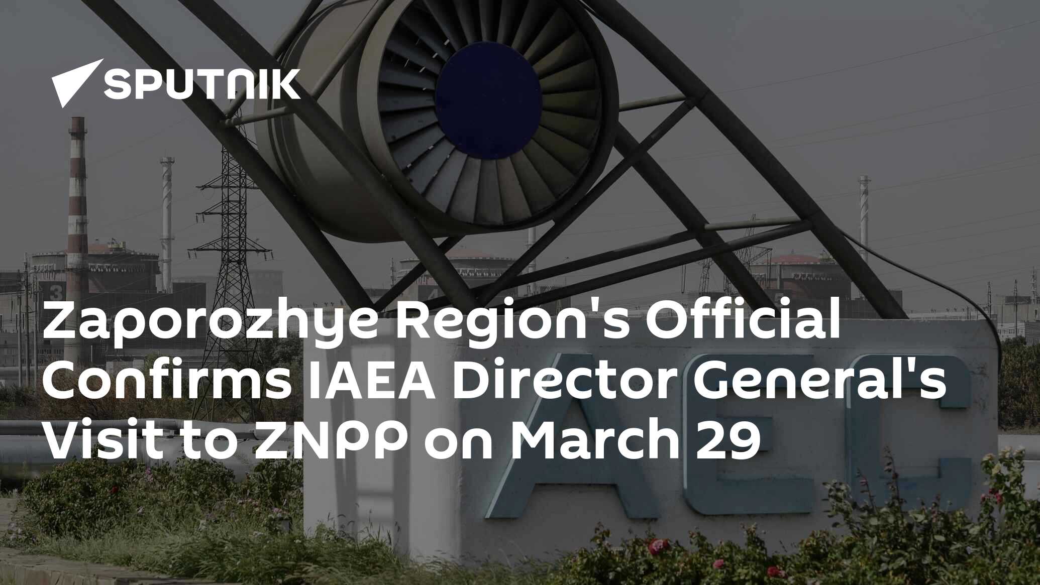 Zaporozhye Region's Official Confirms IAEA Director General's Visit to ...