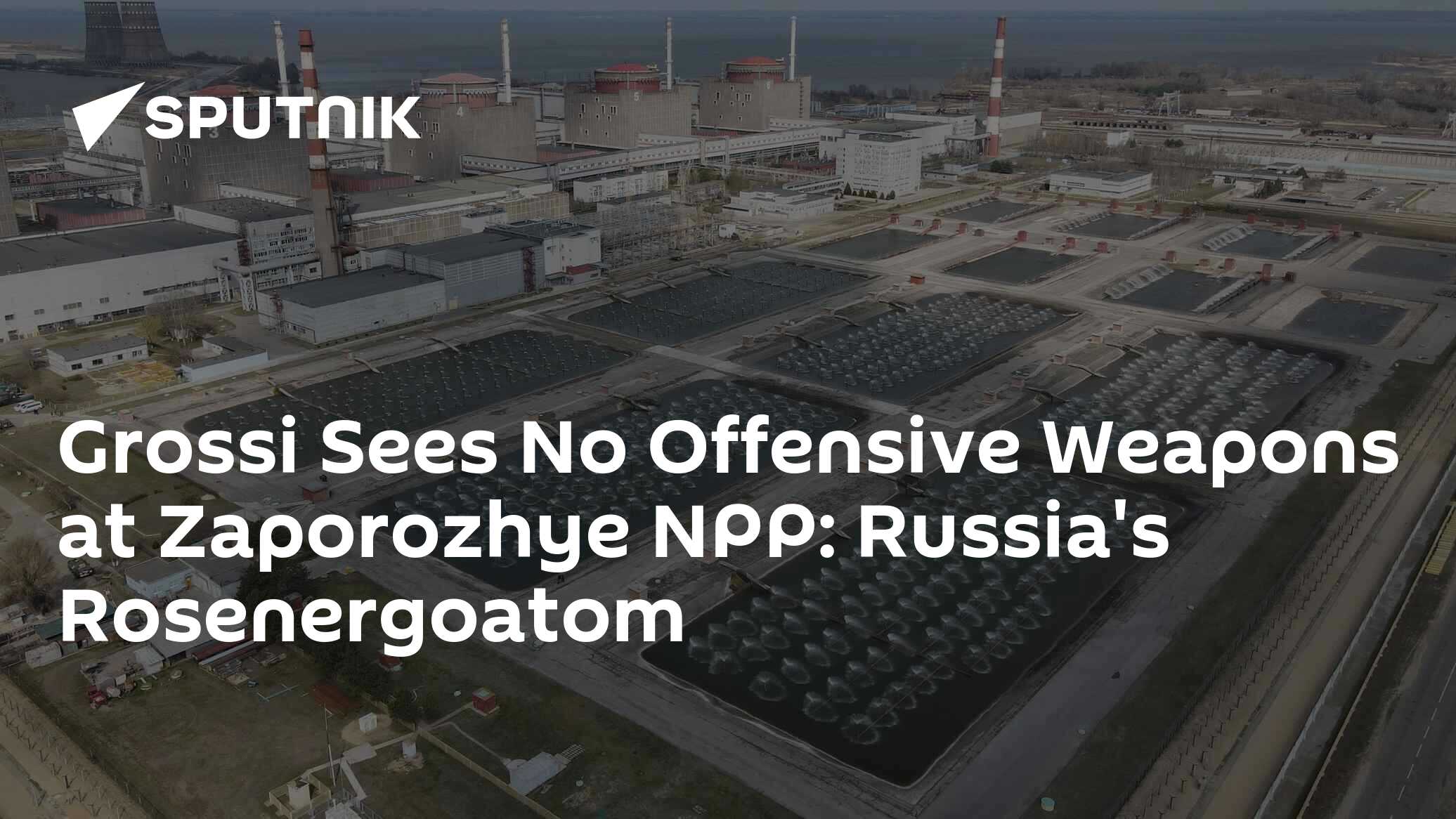 Grossi Sees No Offensive Weapons at Zaporizhzhia NPP: Russia's ...