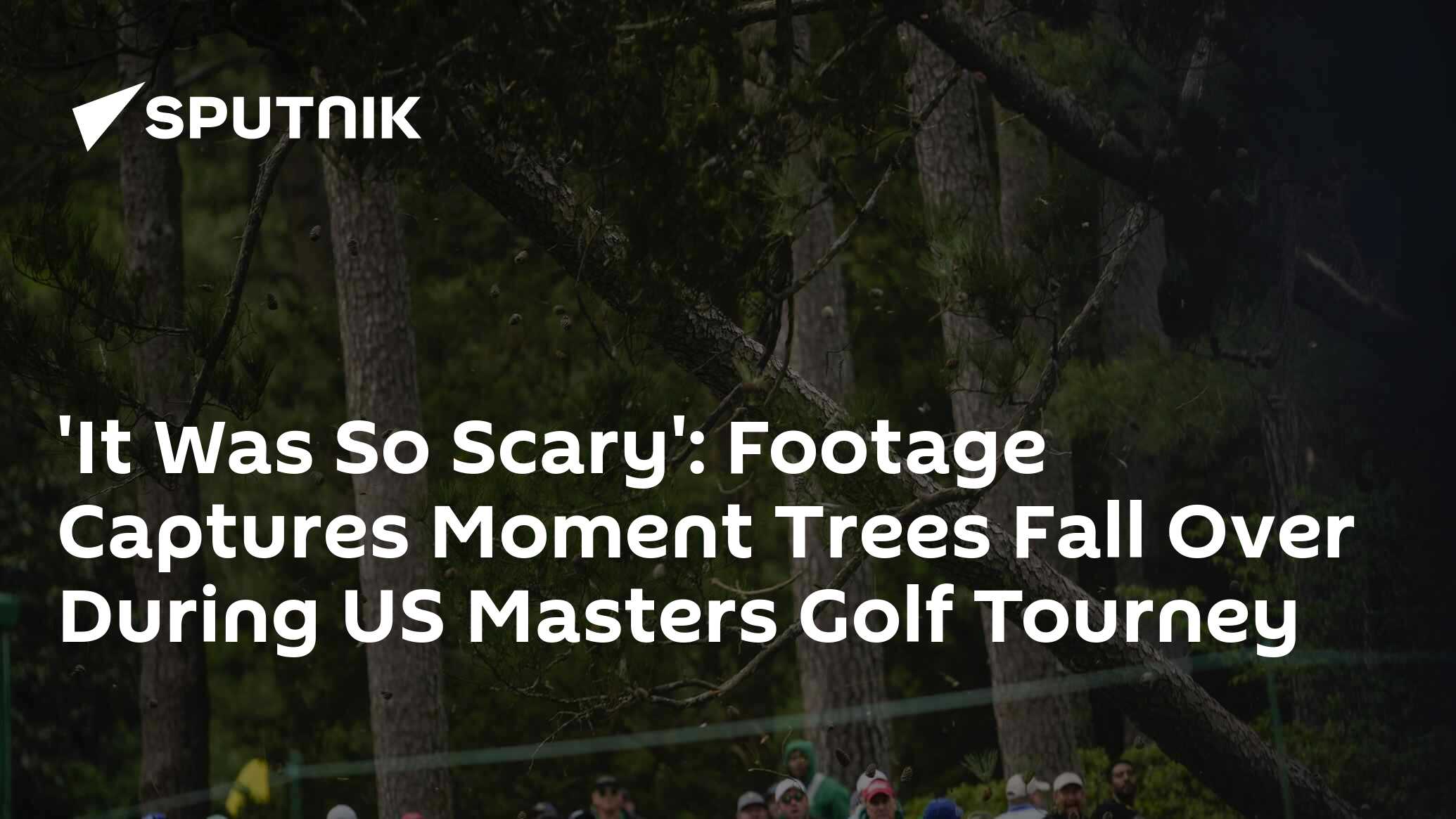 It Was So Scary Footage Captures Moment Trees Fall Over During US ...