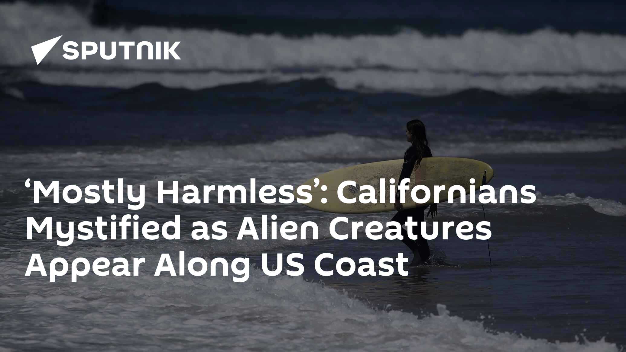 ‘Mostly Harmless’: Californians Mystified as Alien Creatures Appear ...