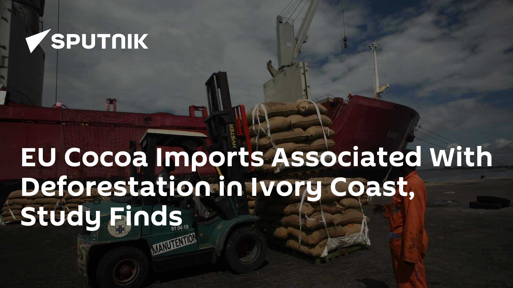 EU Cocoa Imports Associated With Deforestation in Cote d'Ivoire, Study Finds