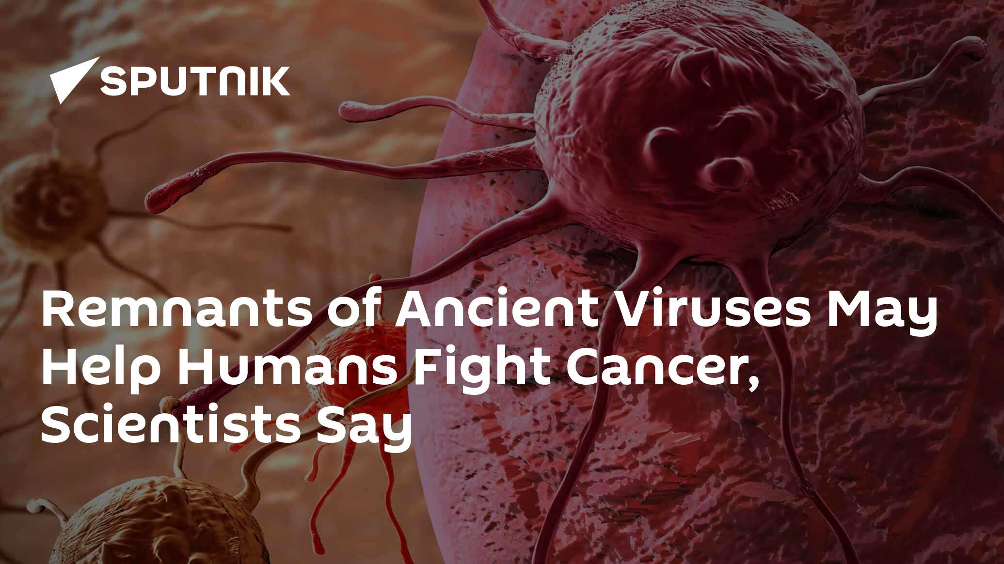 Remnants of Ancient Viruses May Help Humans Fight Cancer, Scientists Say