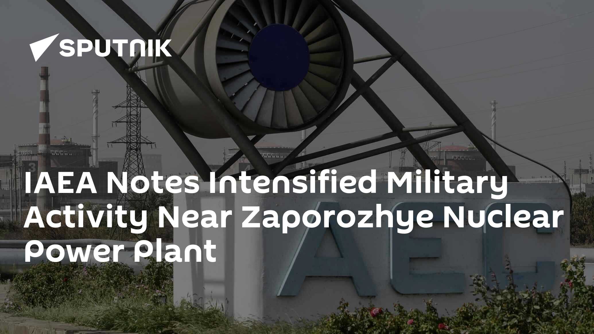 IAEA Notes Intensified Military Activity Near Zaporozhye Nuclear Power ...