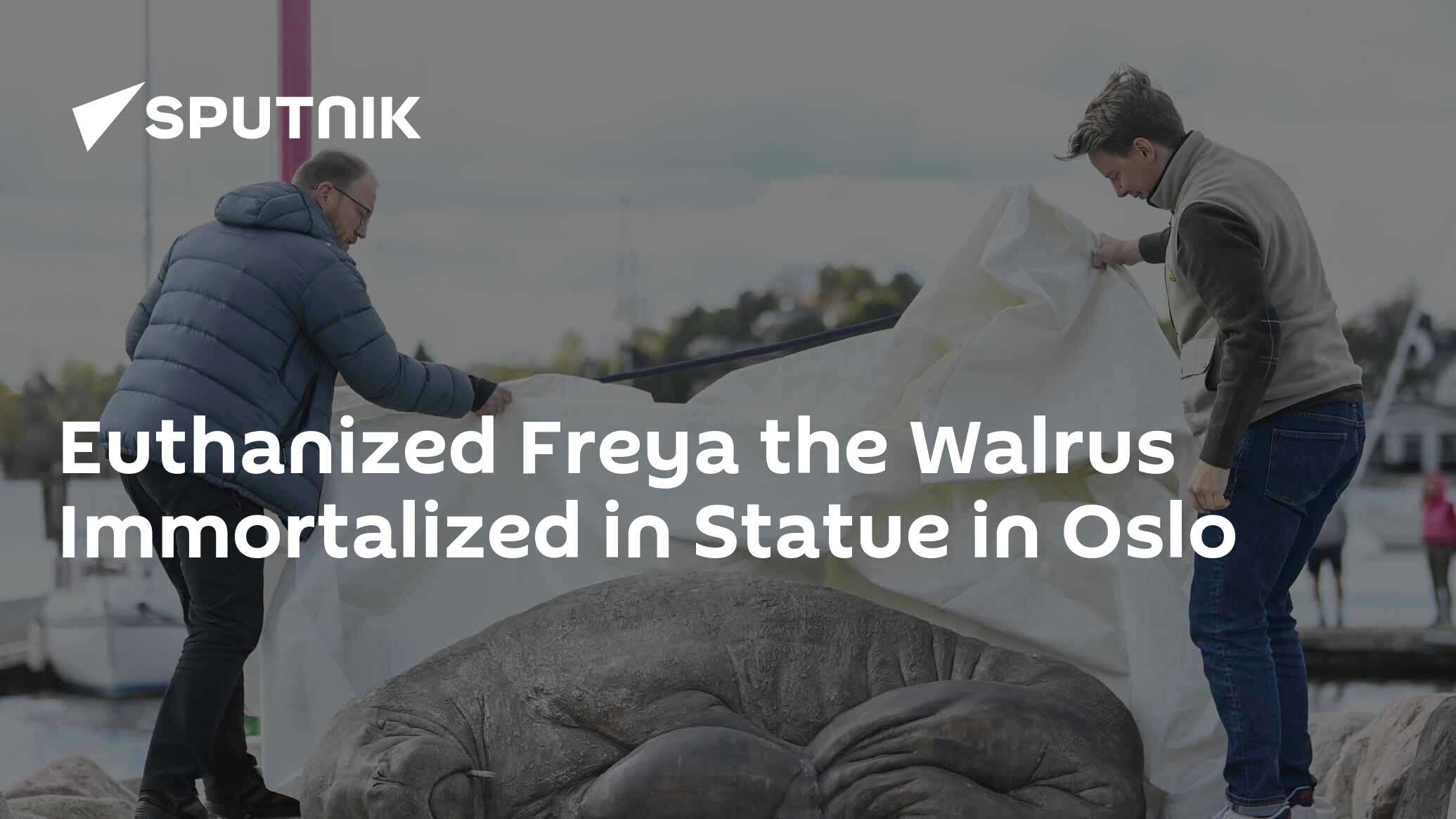 Statue of Euthanized Freya the Walrus Unveiled in Oslo