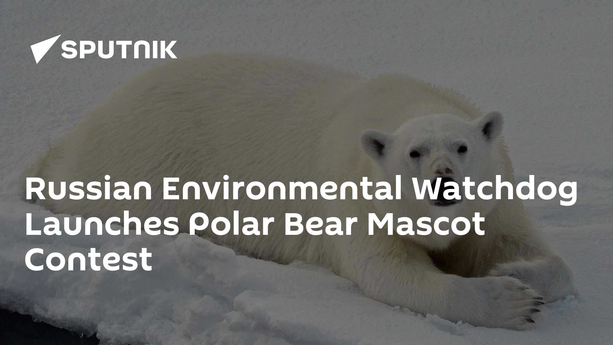 Russian Environmental Watchdog Launches Polar Bear Mascot Contest