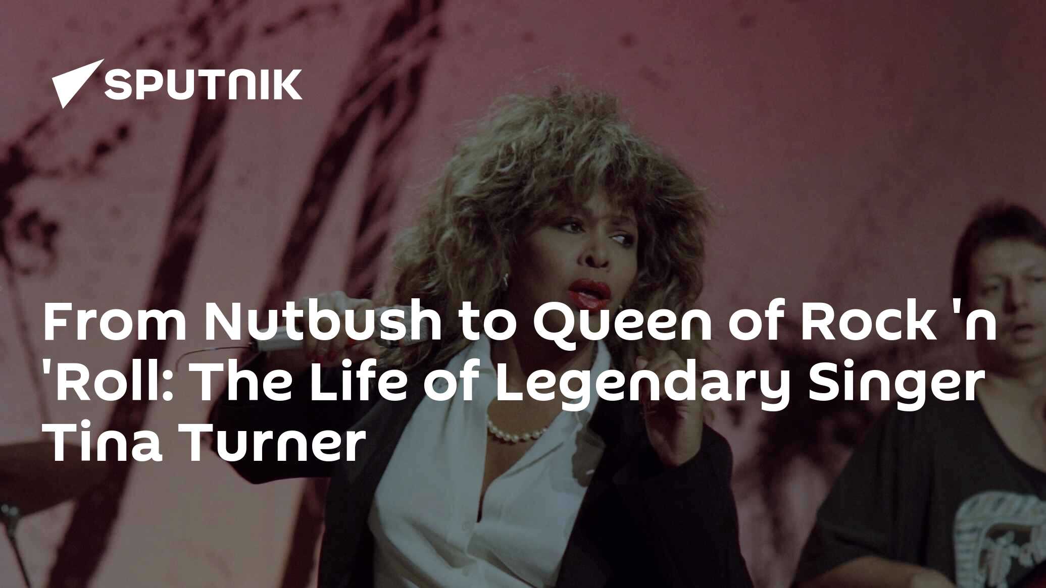 From Nutbush to Queen of Rock 'n 'Roll: The Life of Legendary Singer ...