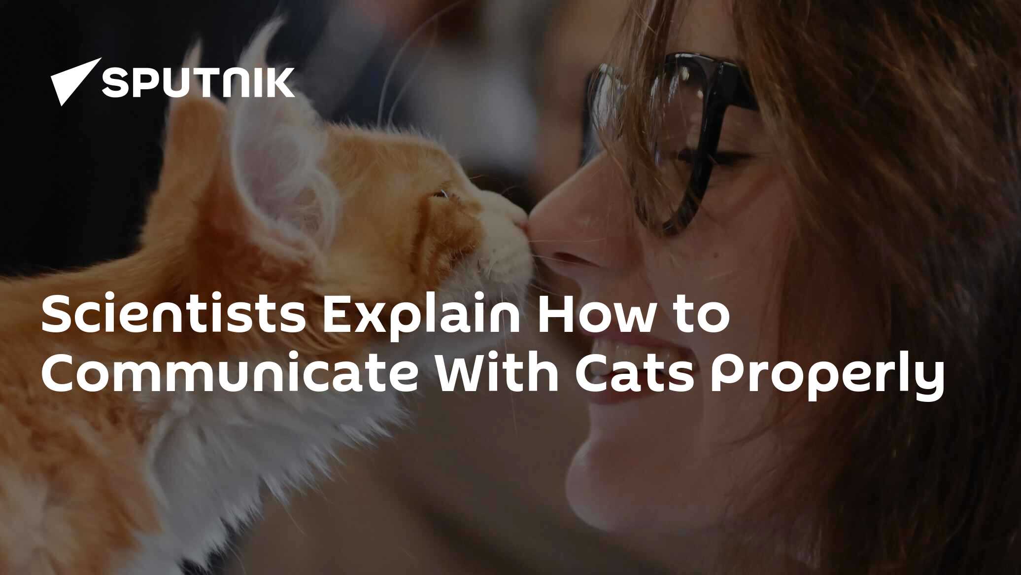 Scientists Explain How to Communicate With Cats Properly